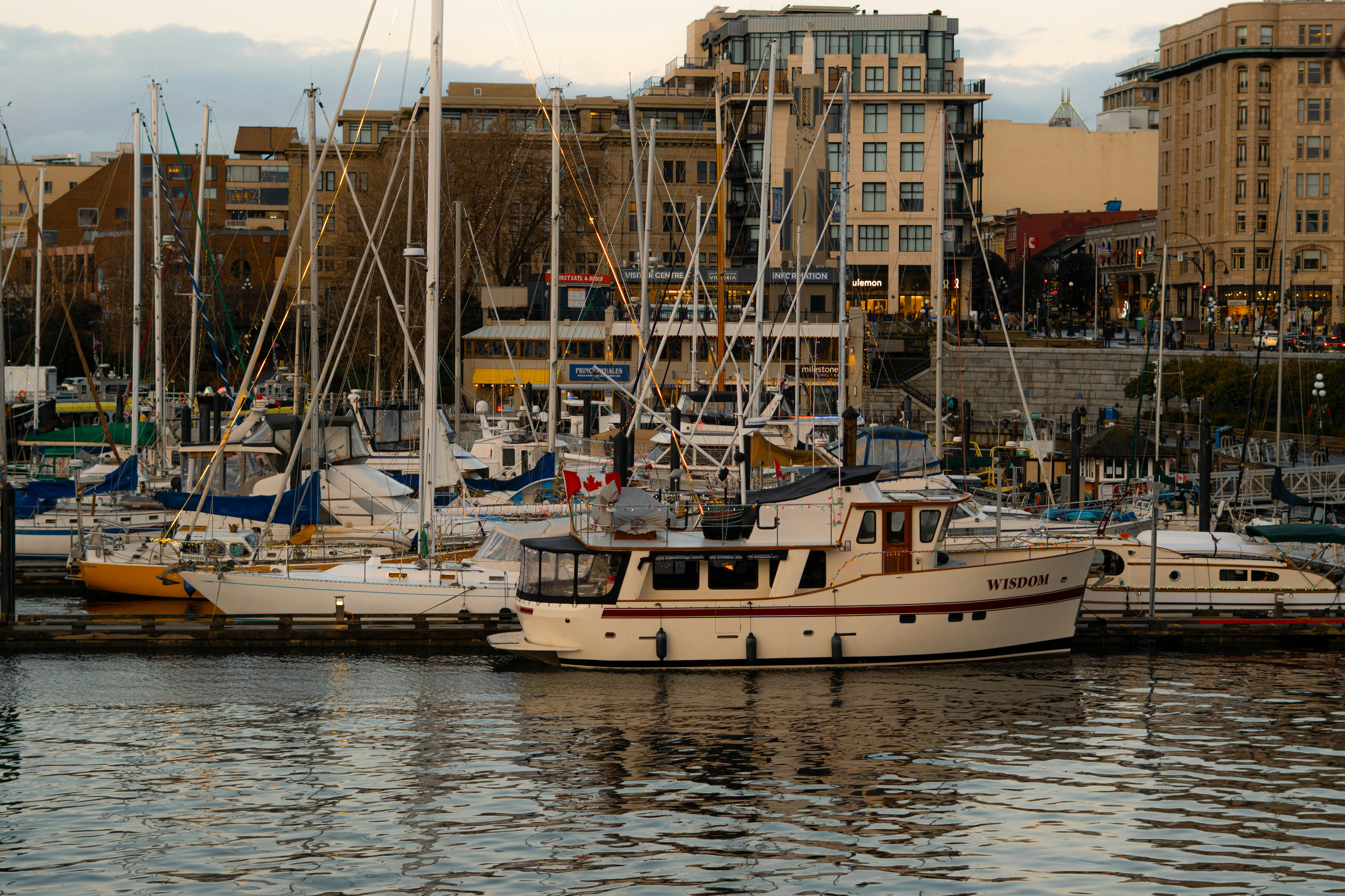 Marina Mosaic: A Fleet of Masts and Reflections at Dusk