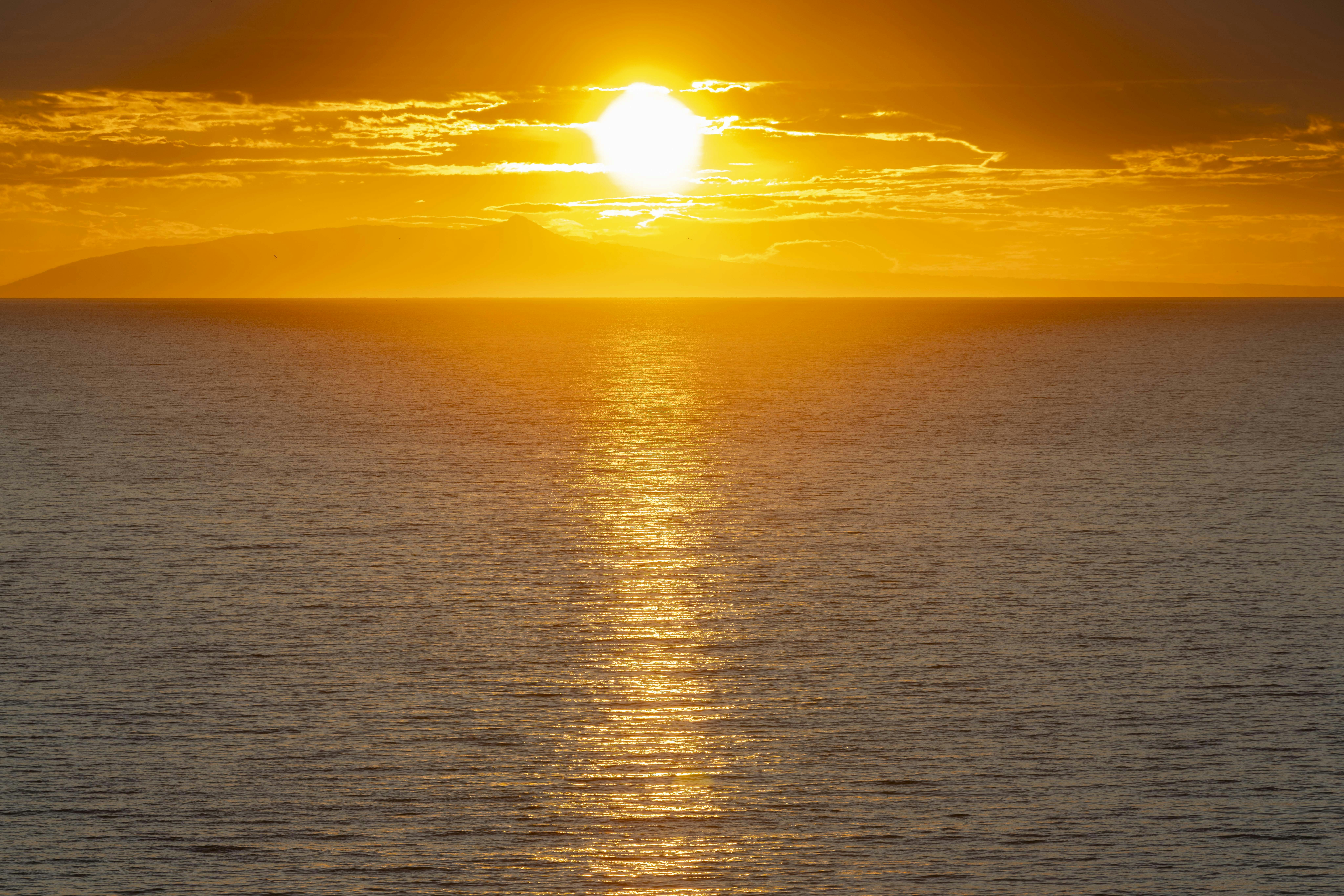 Golden Horizon: Sunlit Sea Reflects a Quiet Moment at Dusk