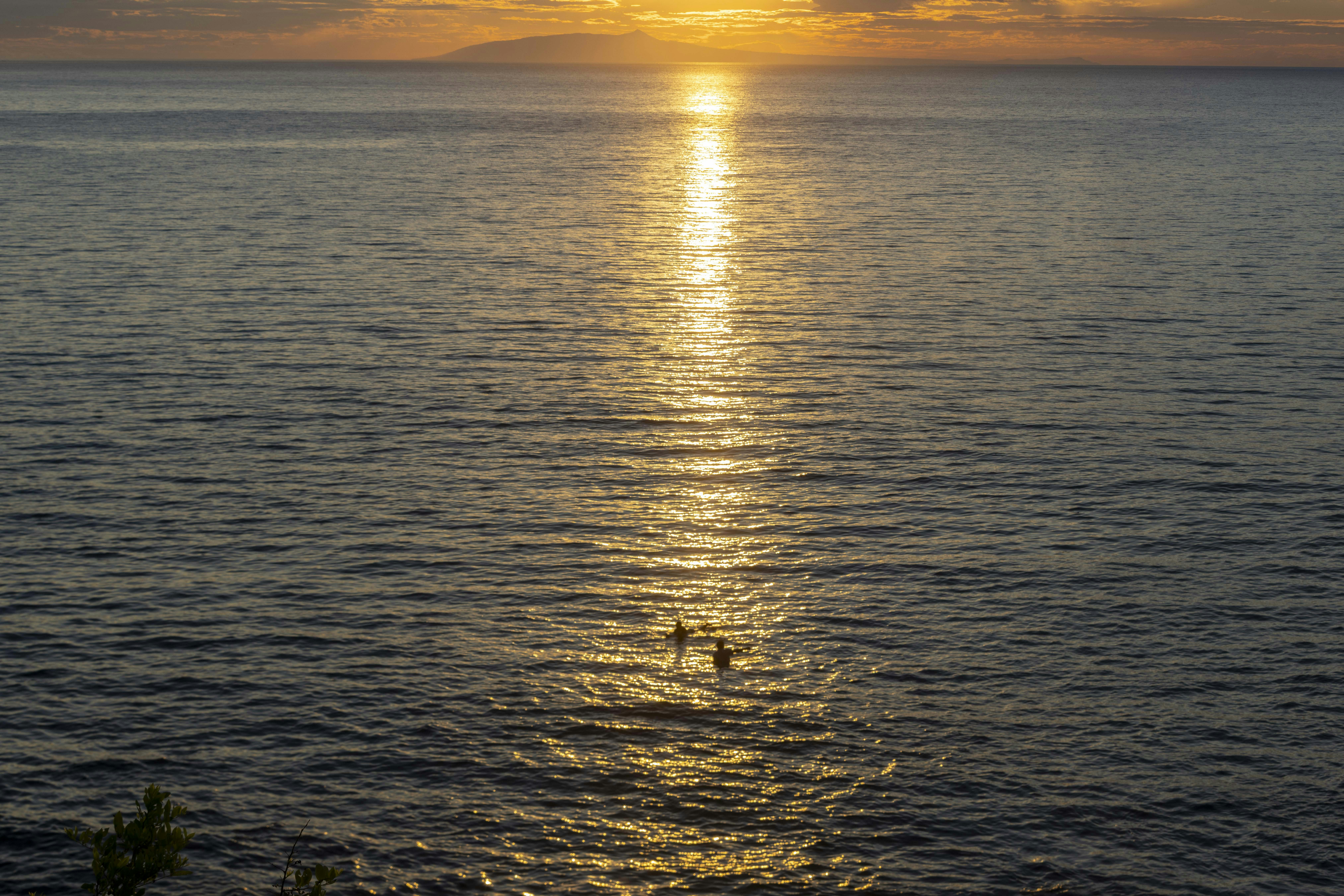 Sunlit Path: A Quiet Moment on the Open Sea