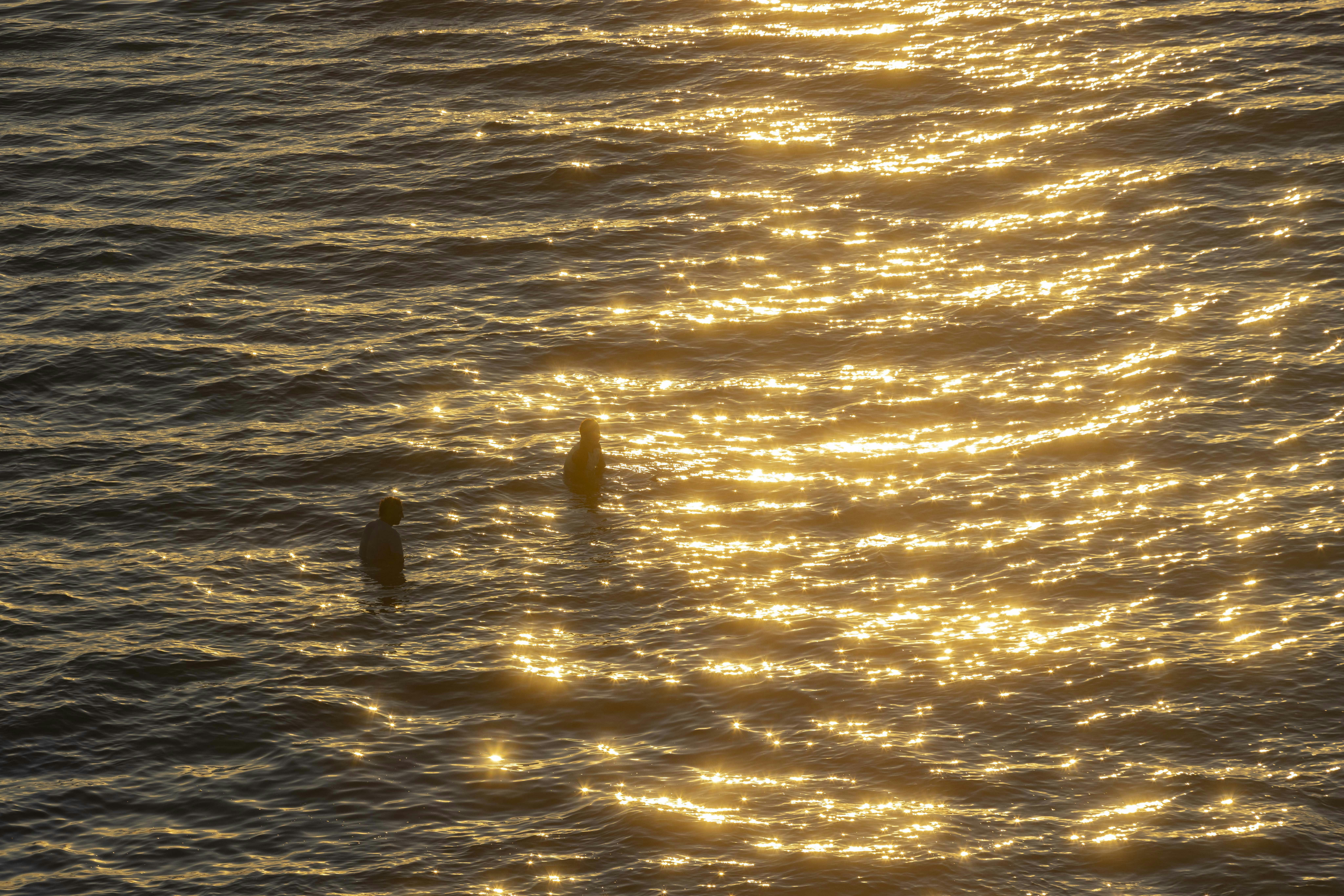 Sunlit Ripples: Silhouettes in a Golden Sea
