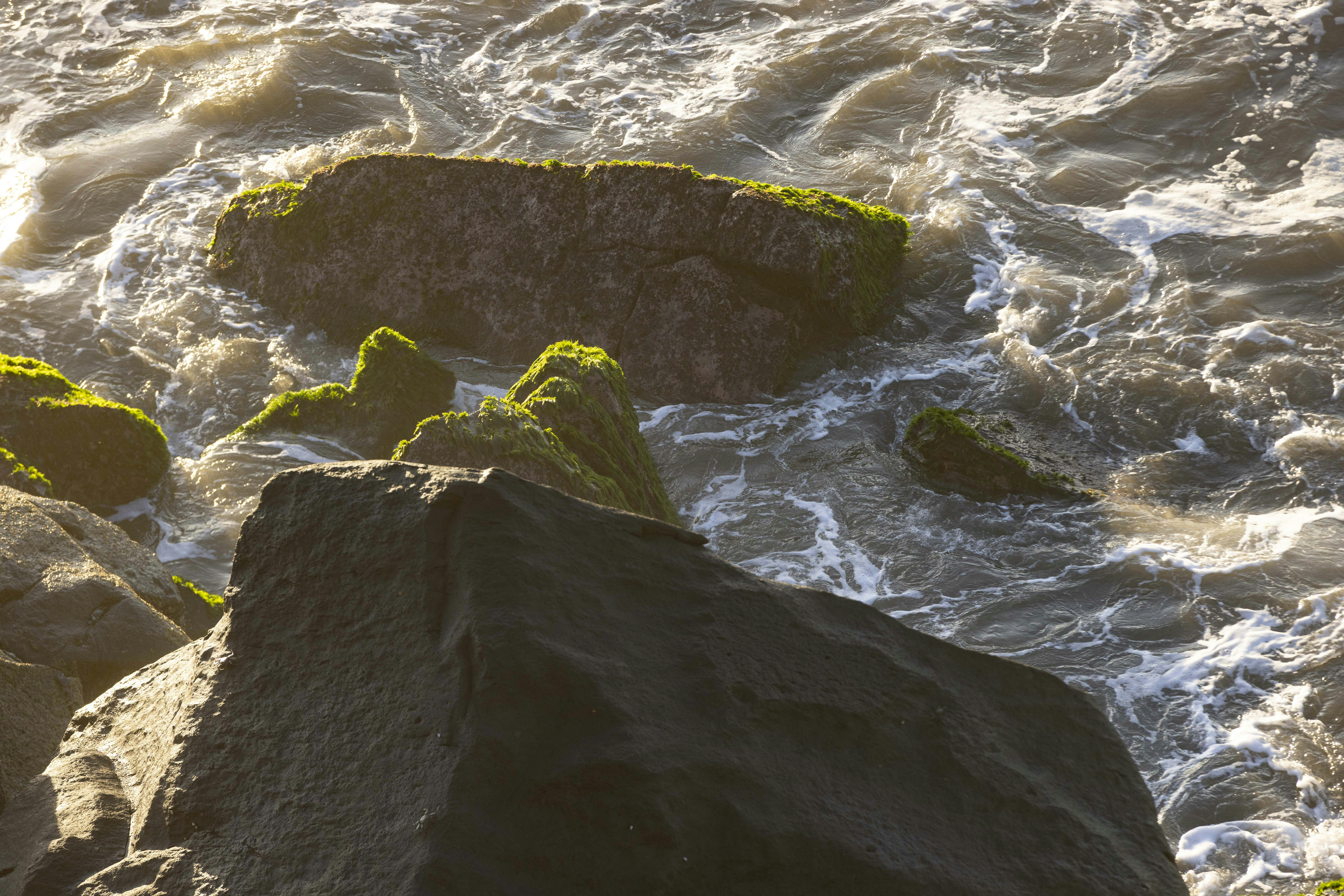Sunlit Sea Stairs: Mossy Rocks and Rolling Tide