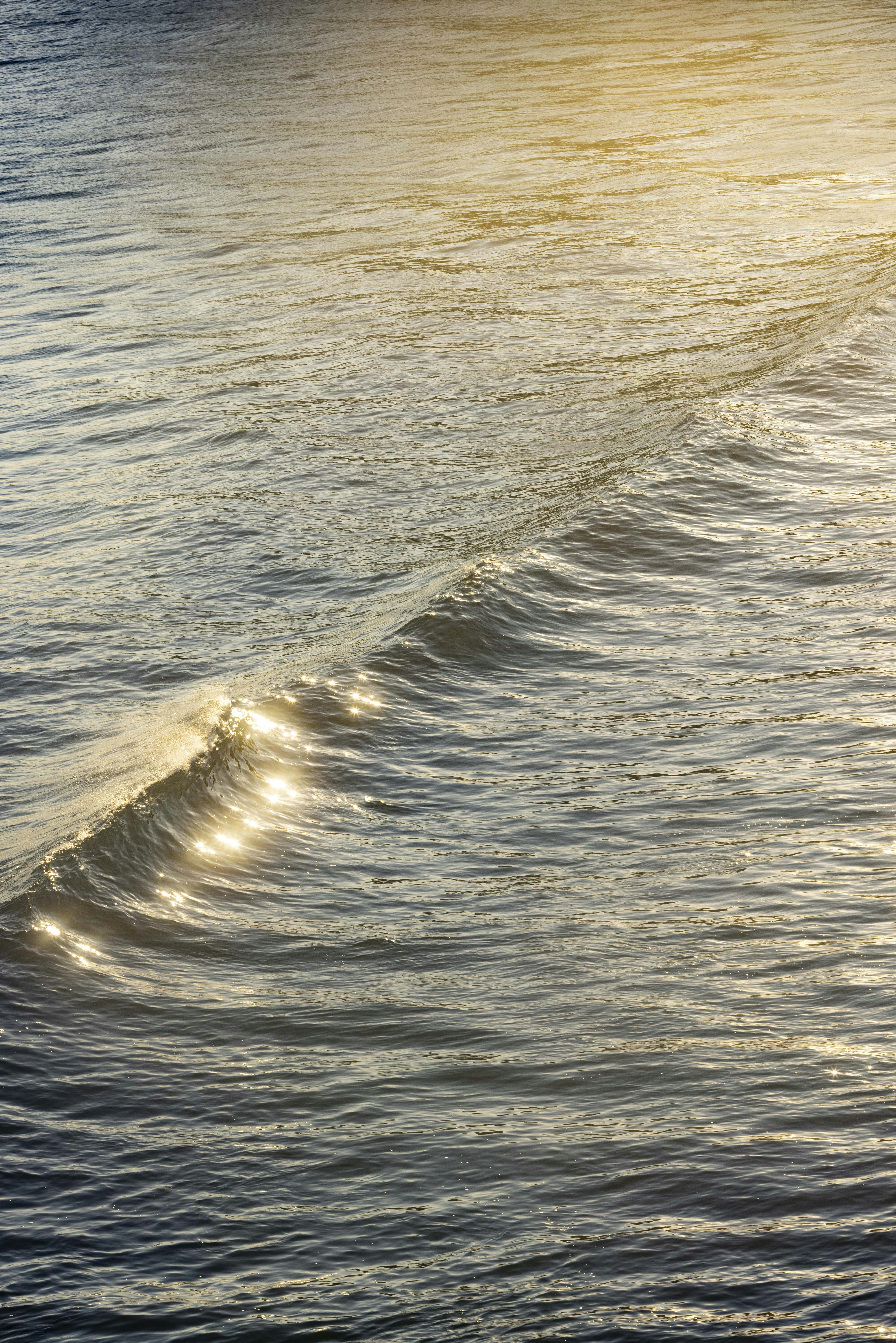 Glinting Crest: a lone ocean ripple catching the sun