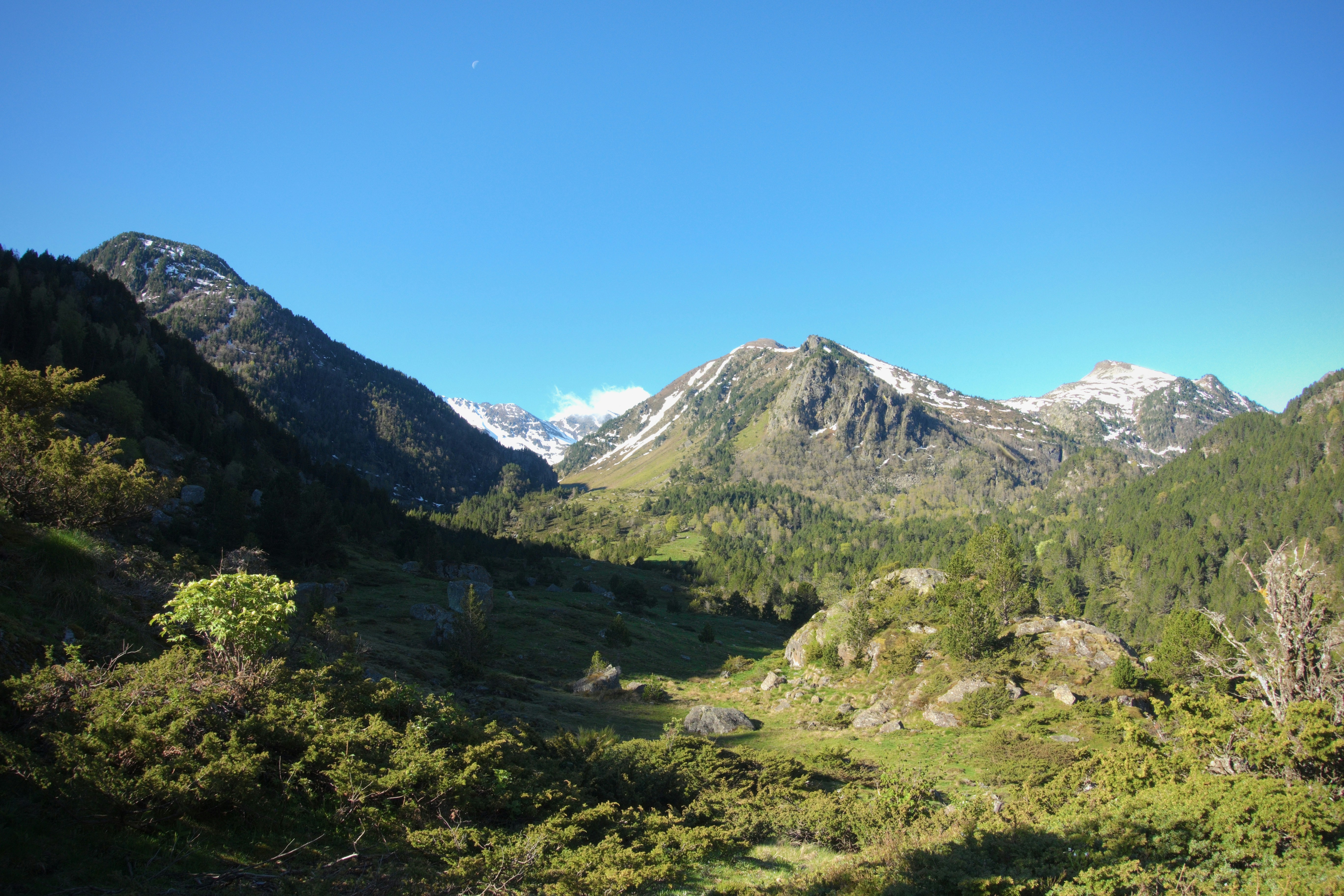 Sunlit Alpine Basin Under a Clear Noon Sky