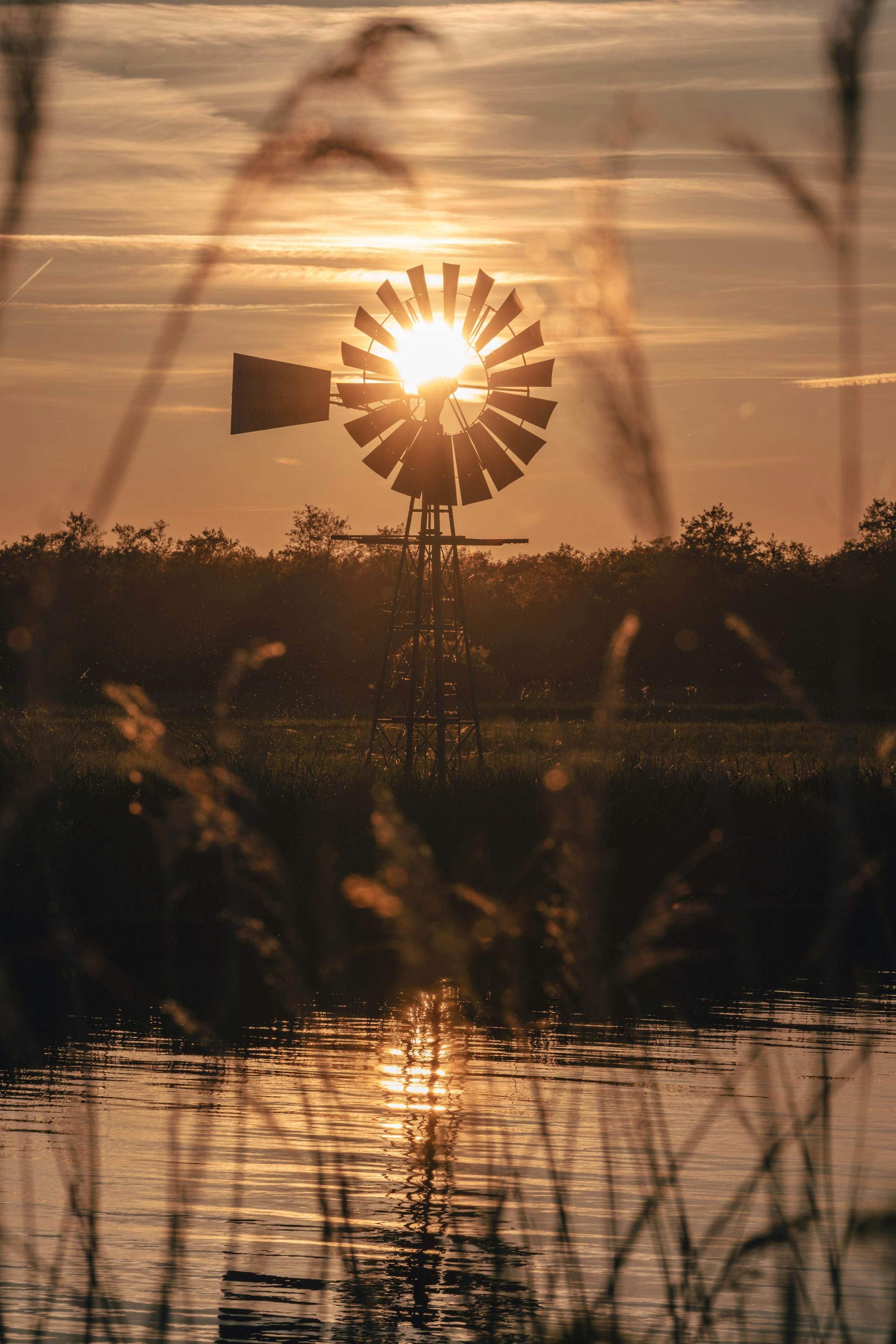 Sunlit Windmill in Golden Hour Marsh