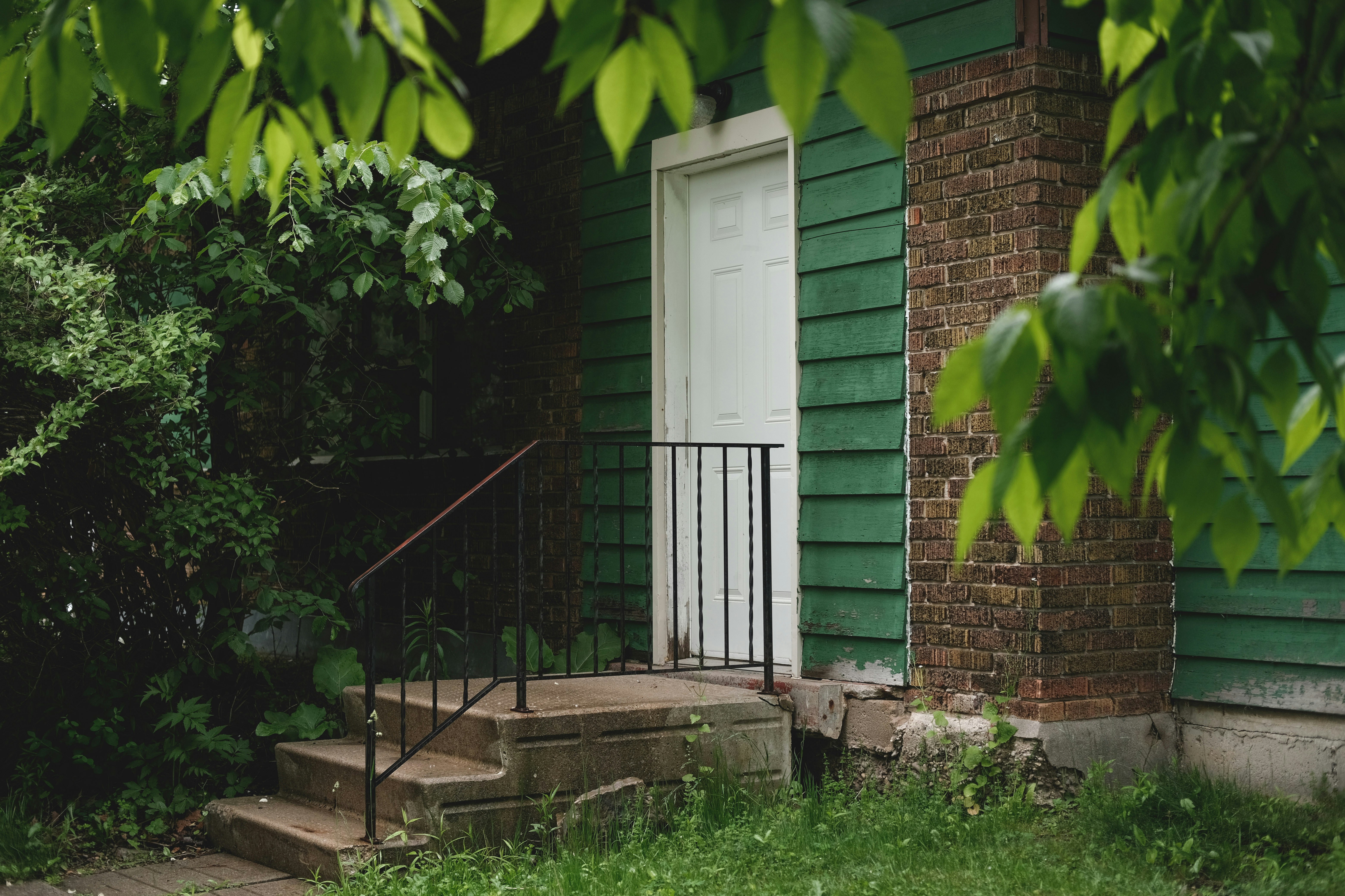 A Quiet Doorway Framed by Green Cladding and Overhanging Foliage
