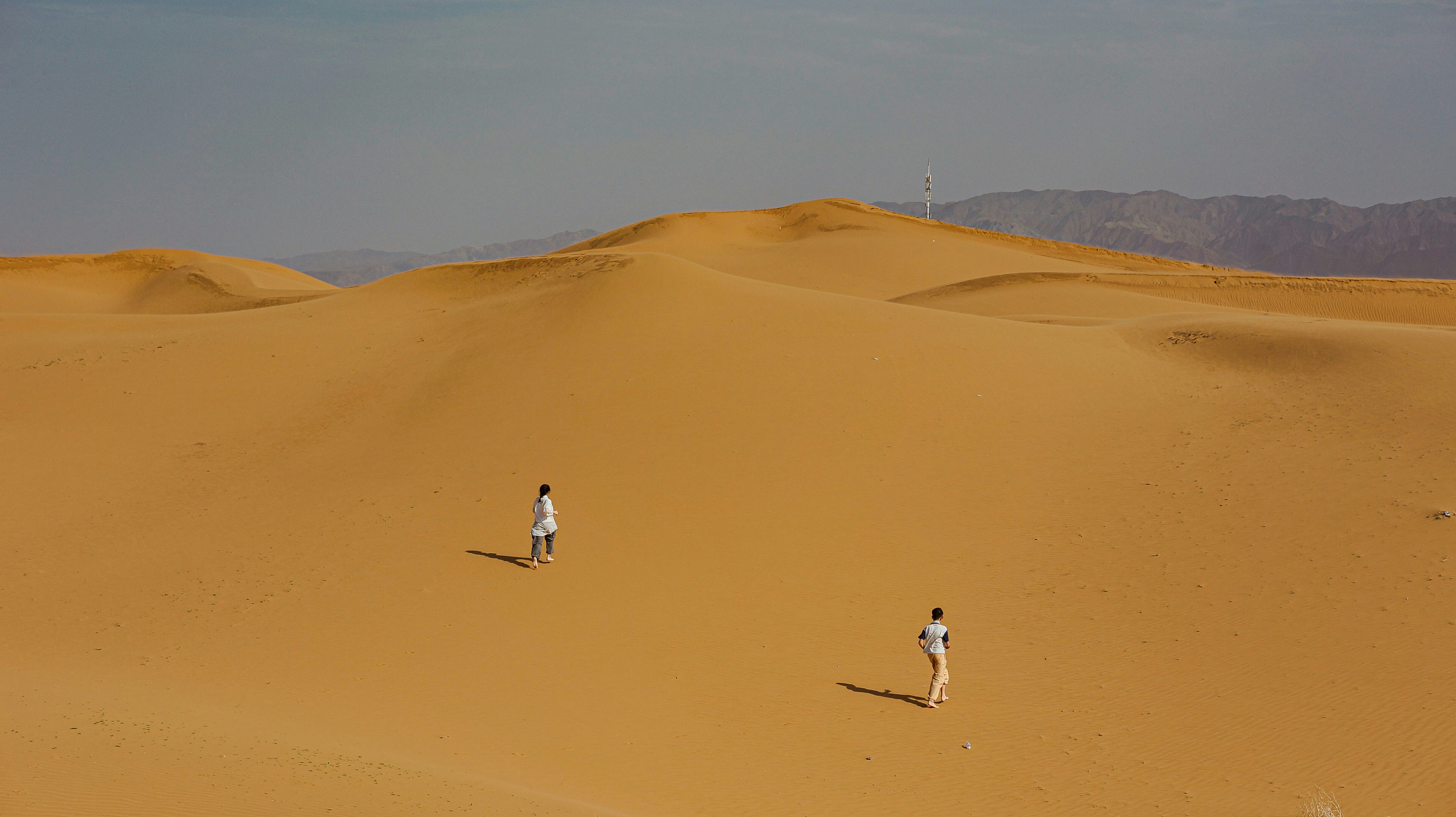 Two Wanderers on Golden Dunes Under a Vast Desert Sky