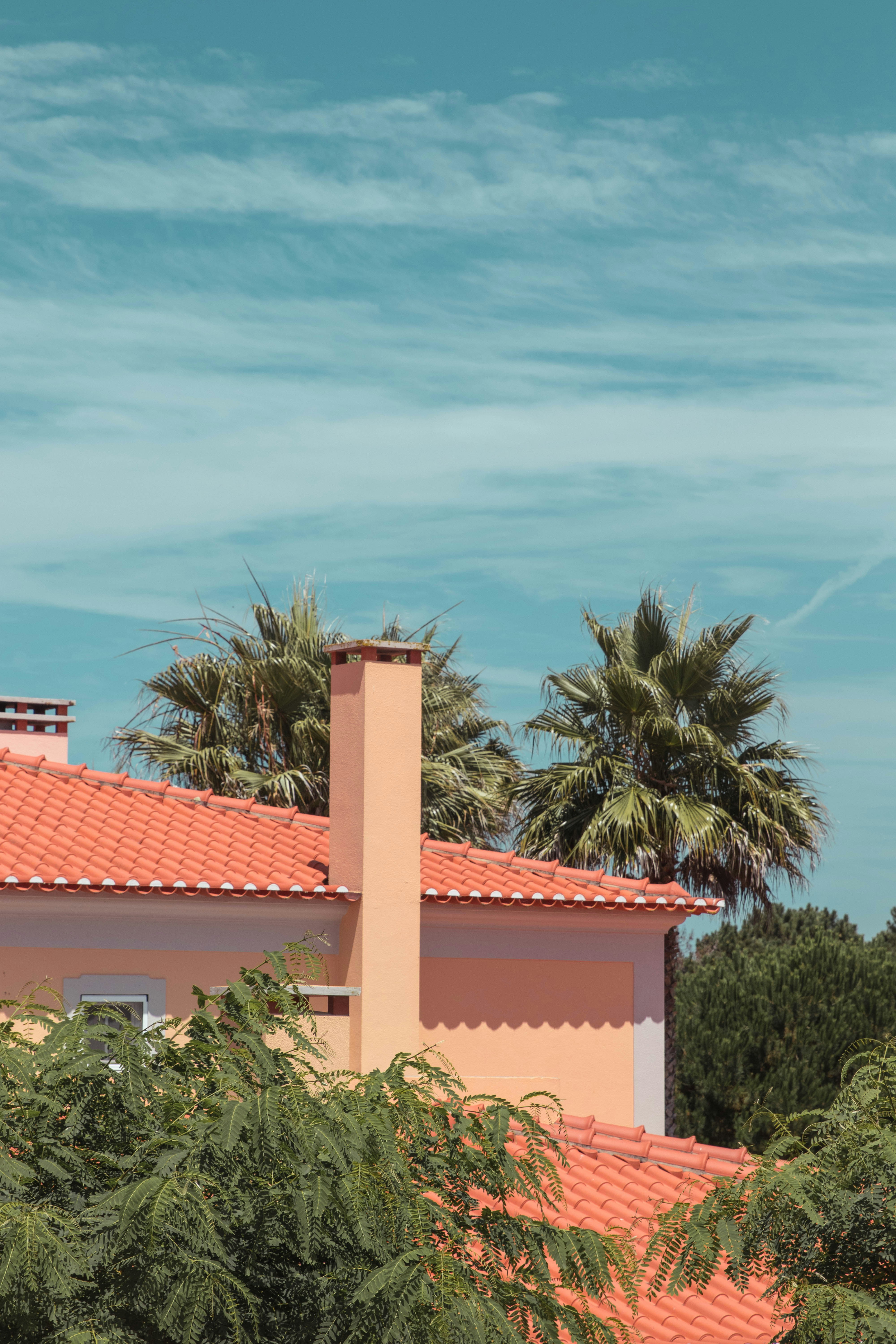 Terracotta Rooflines and Palm Silhouettes Under a Clear Sky