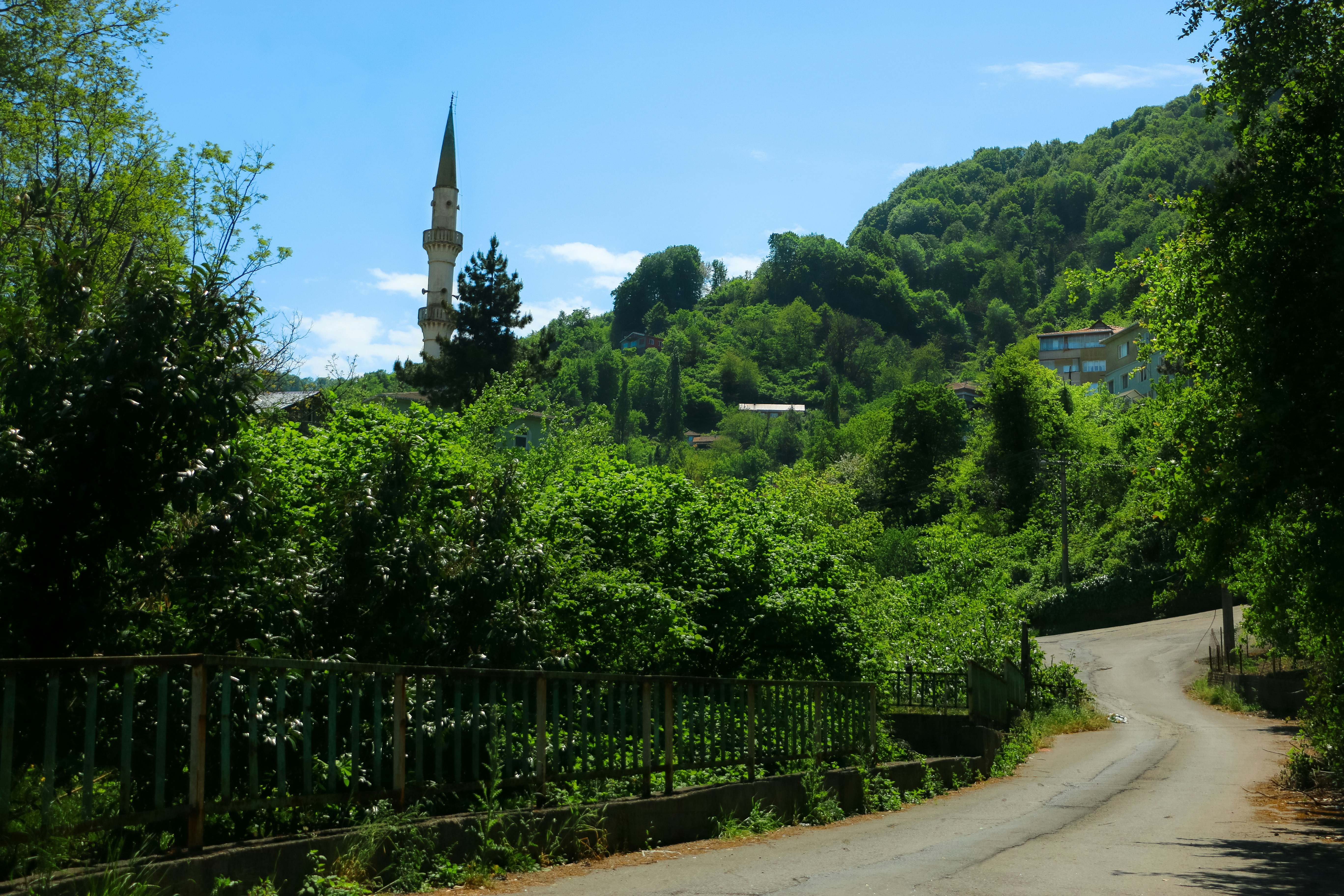 Pastoral Approach: A Quiet Road Toward a Mosque Spire