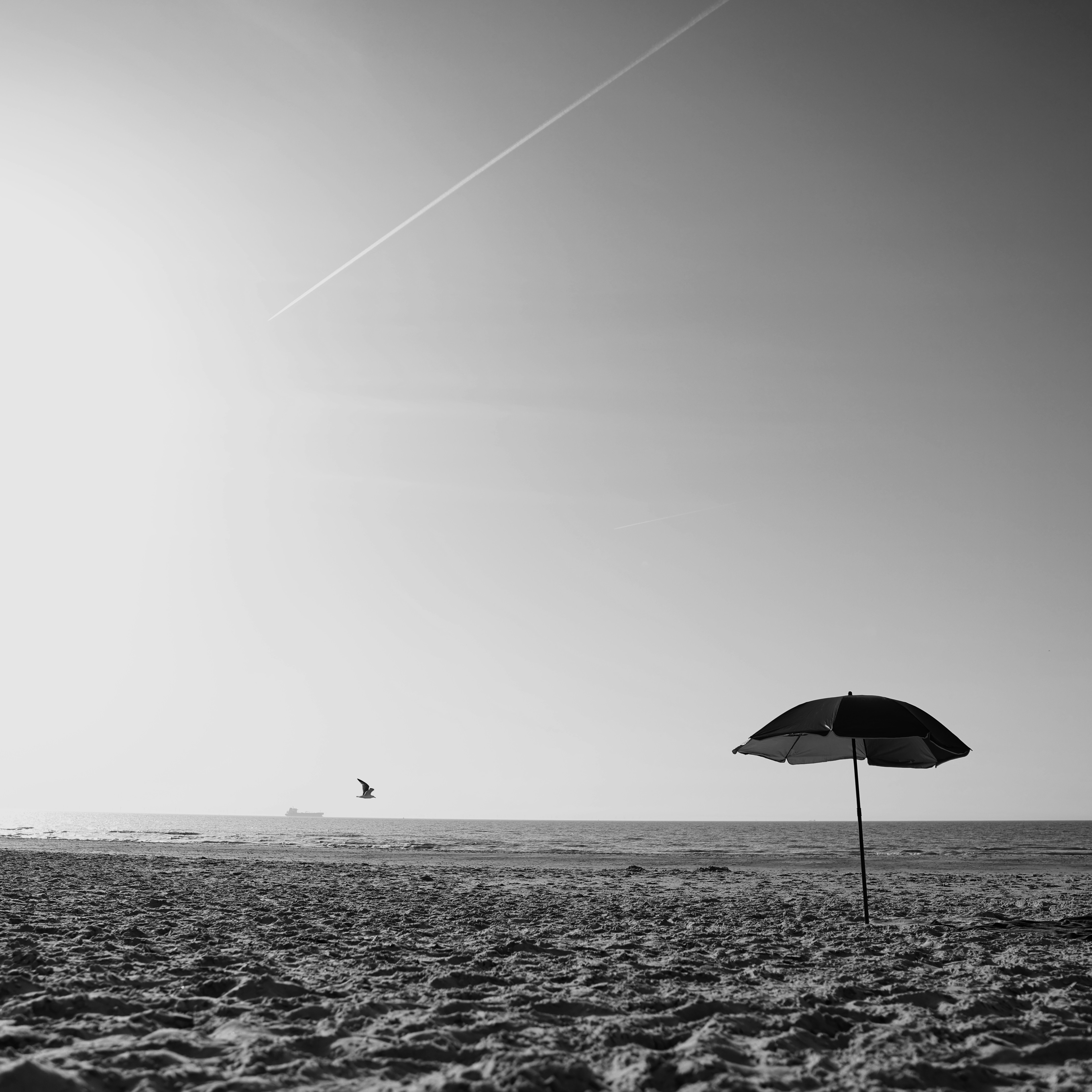 Solitary Umbrella, Endless Shore