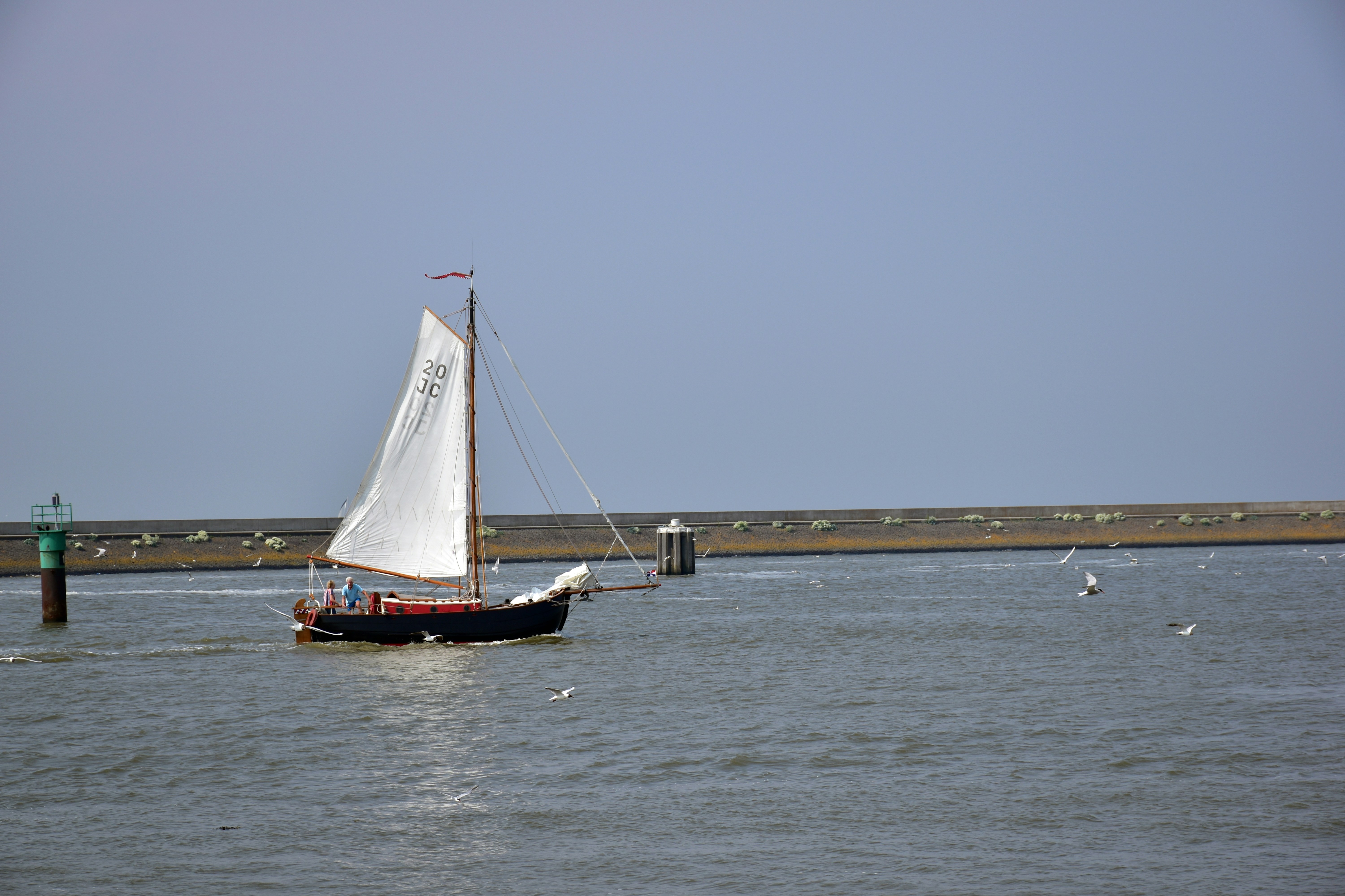 Sailboat Segue Across Quiet Tidal Reach