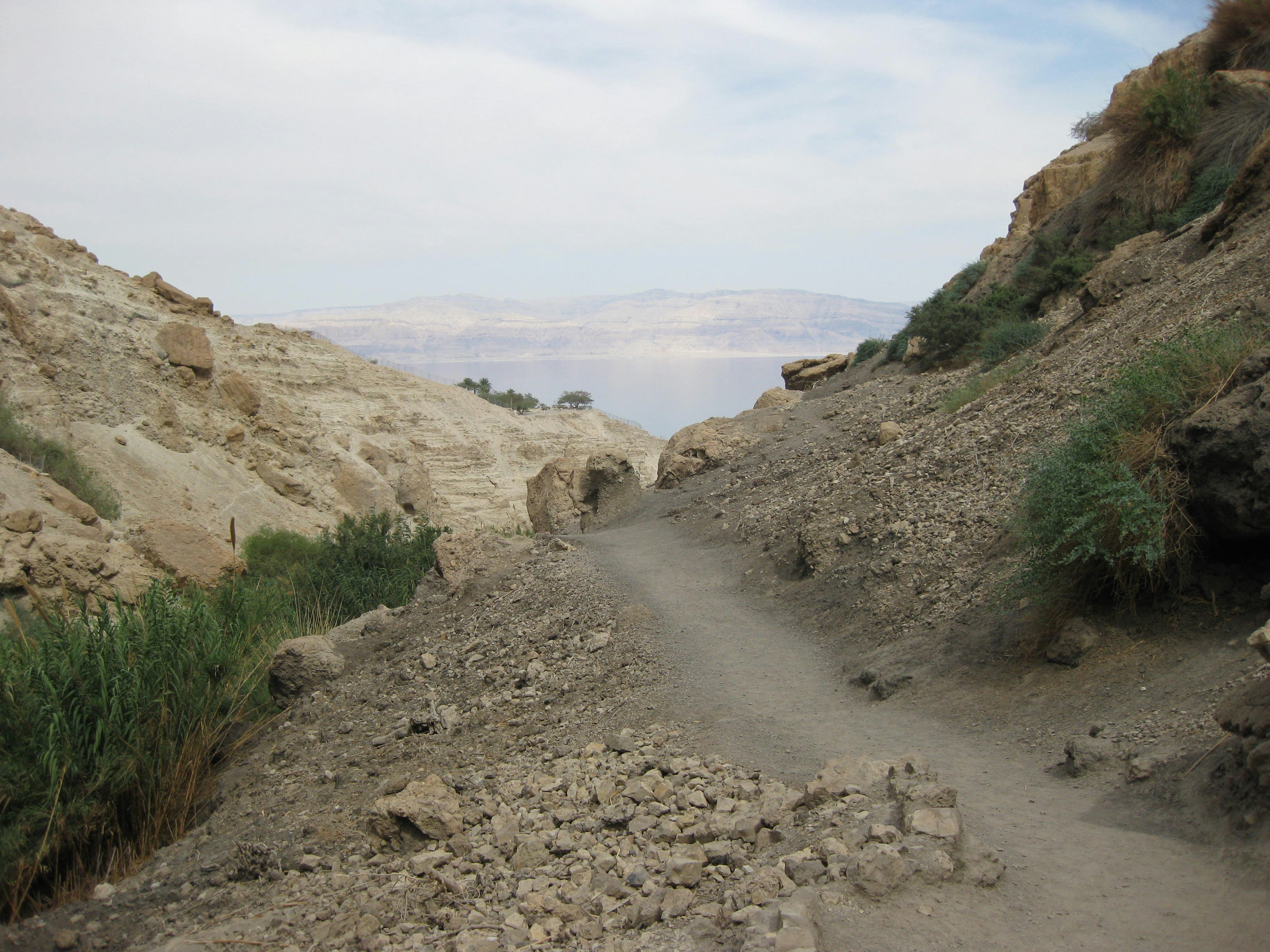 Trail to the Sea: Desert Path Framing the Distant Blue