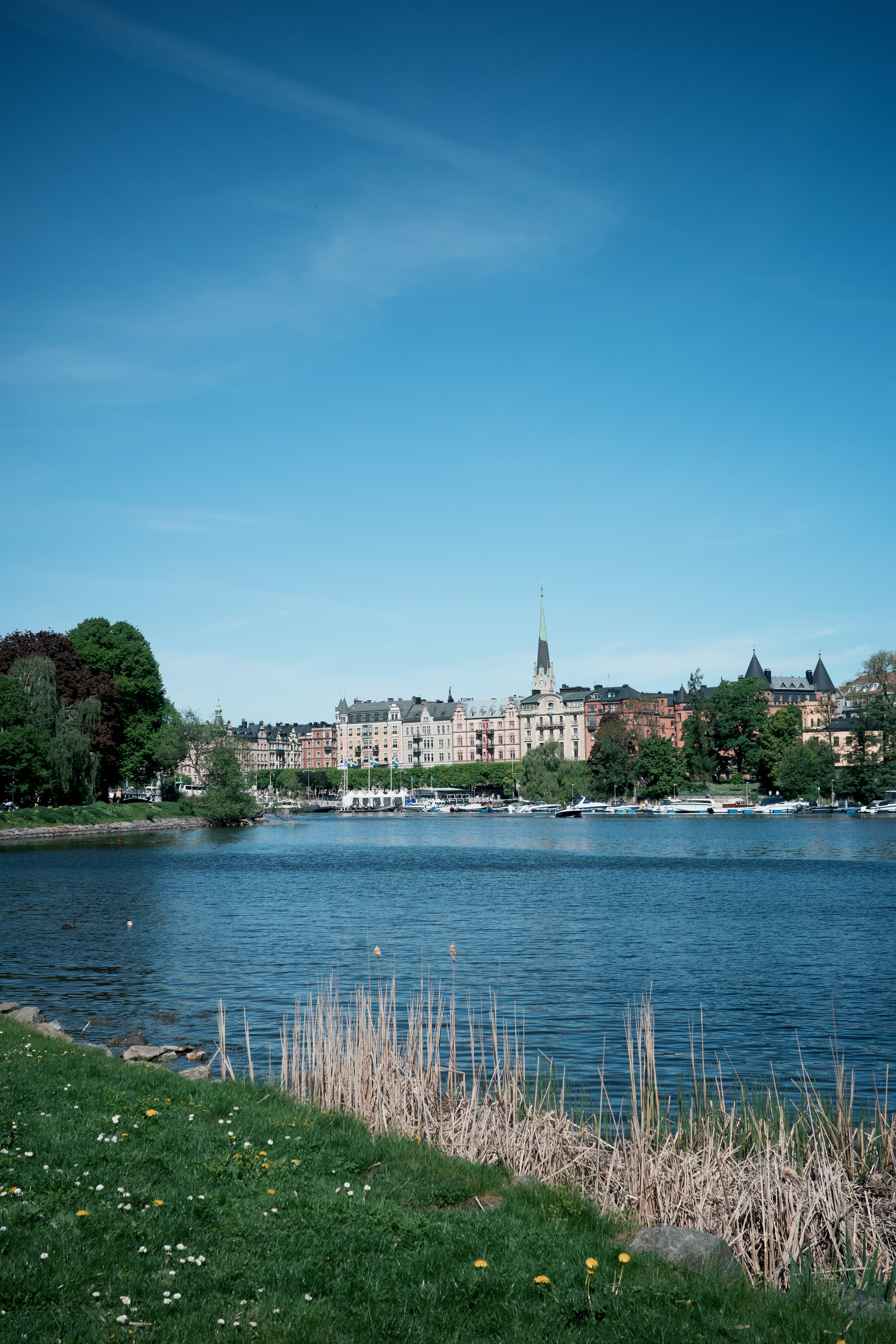 City by the Lake: A Quiet Promenade Calms the Dawn