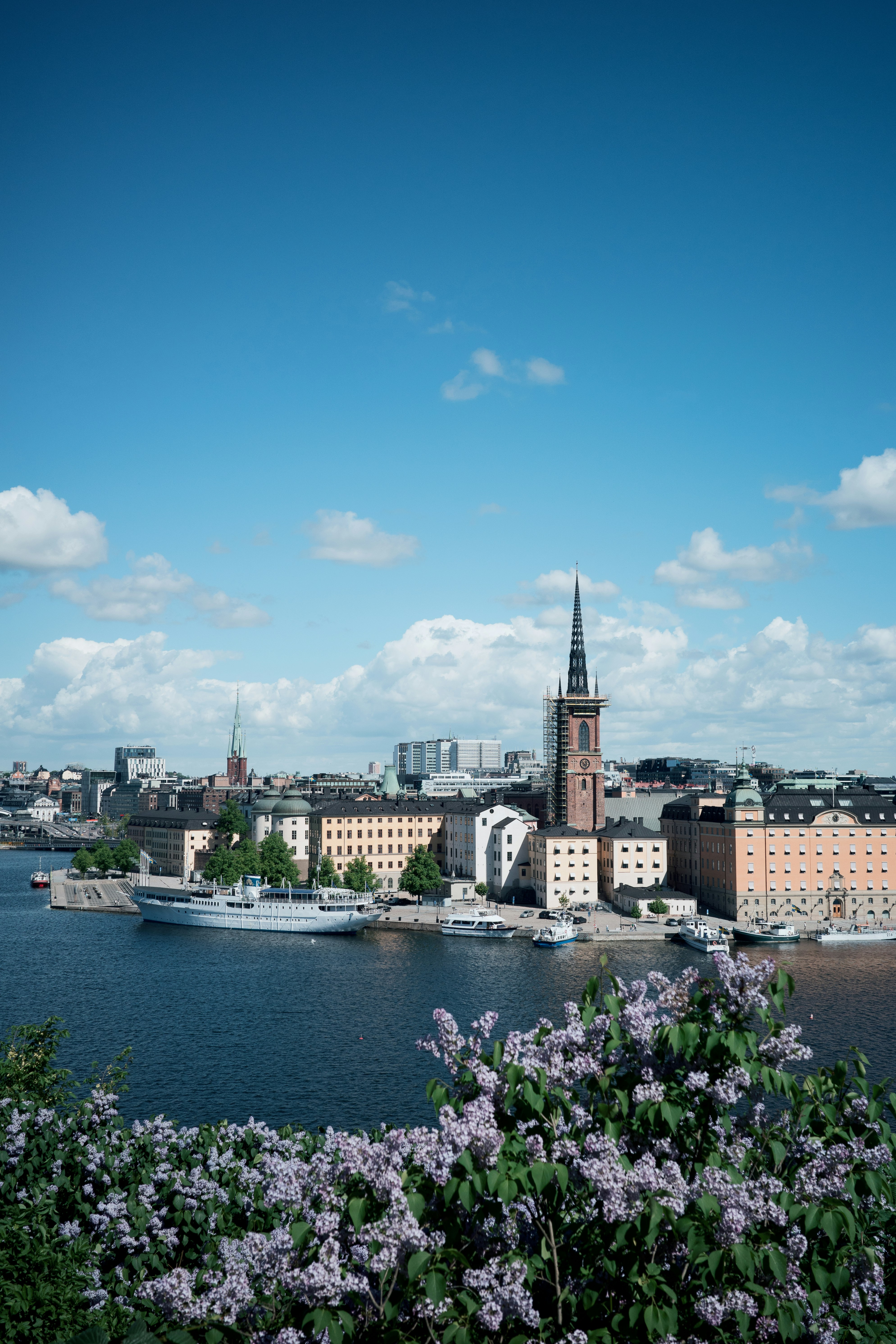 Harbor Cathedral: Cityscape Framed by Lilac Blossoms