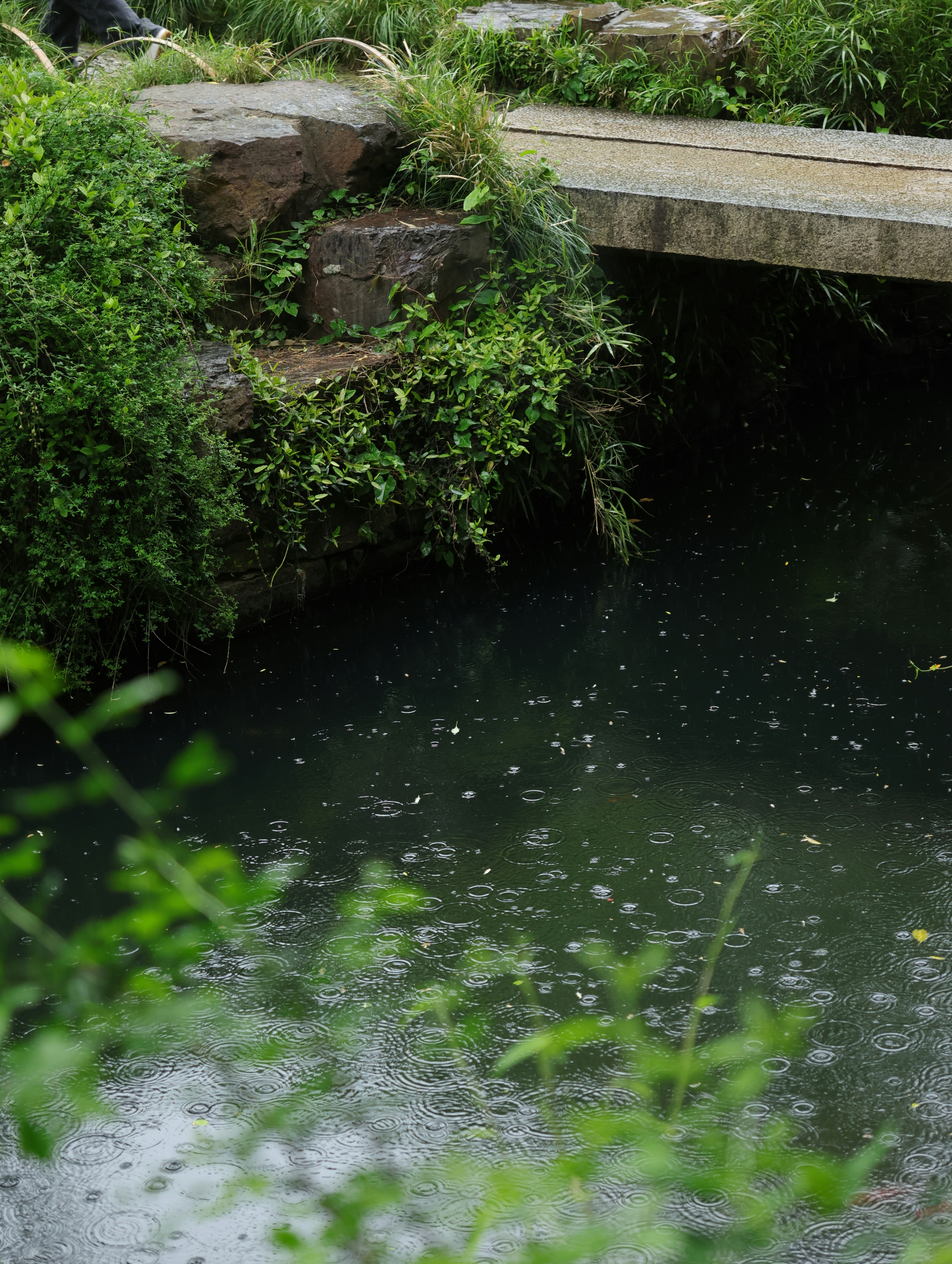 Quiet Waters: A Rainy Moment by the Stone Bridge
