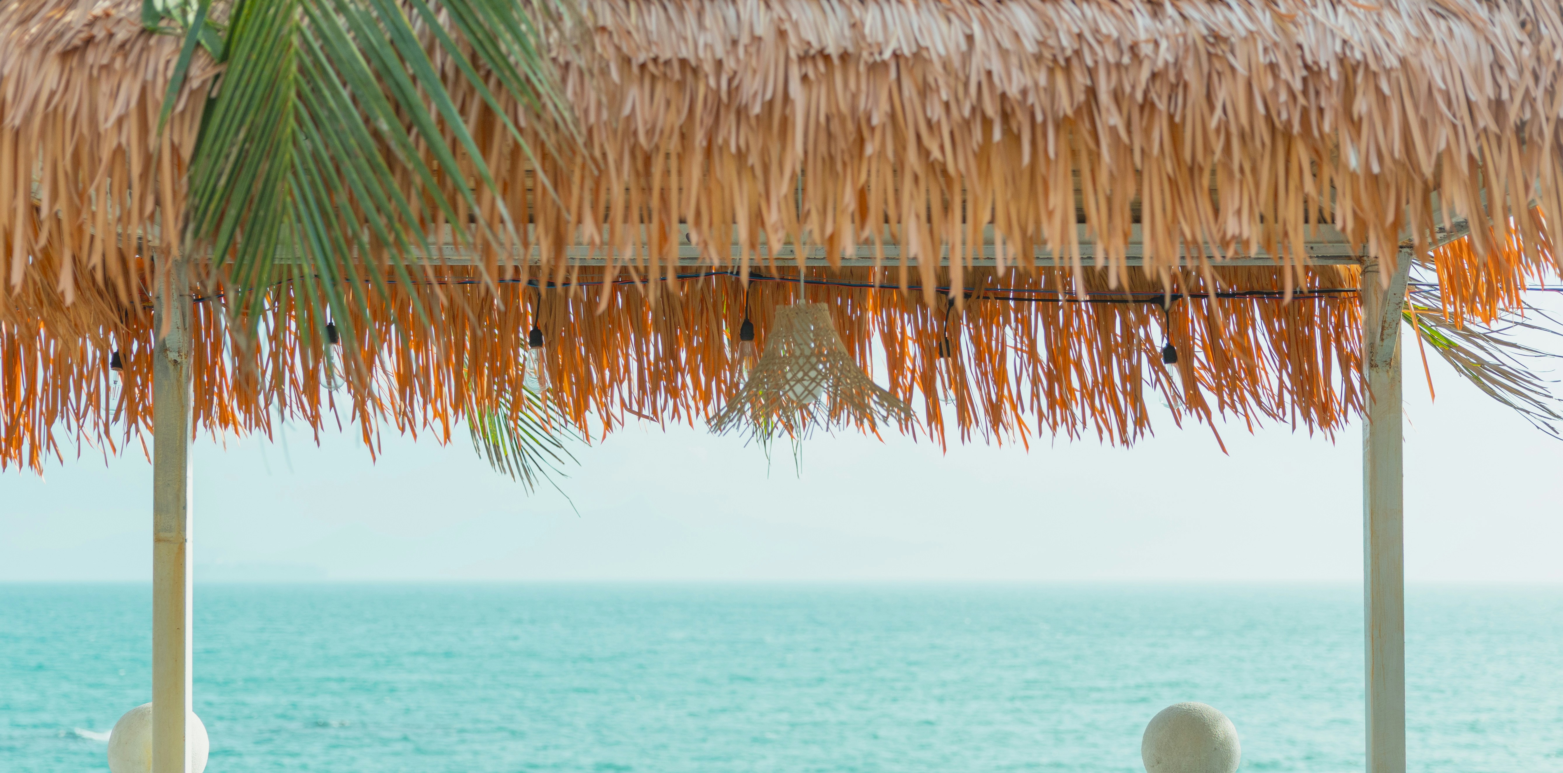 Thatched Roof Framing the Sea