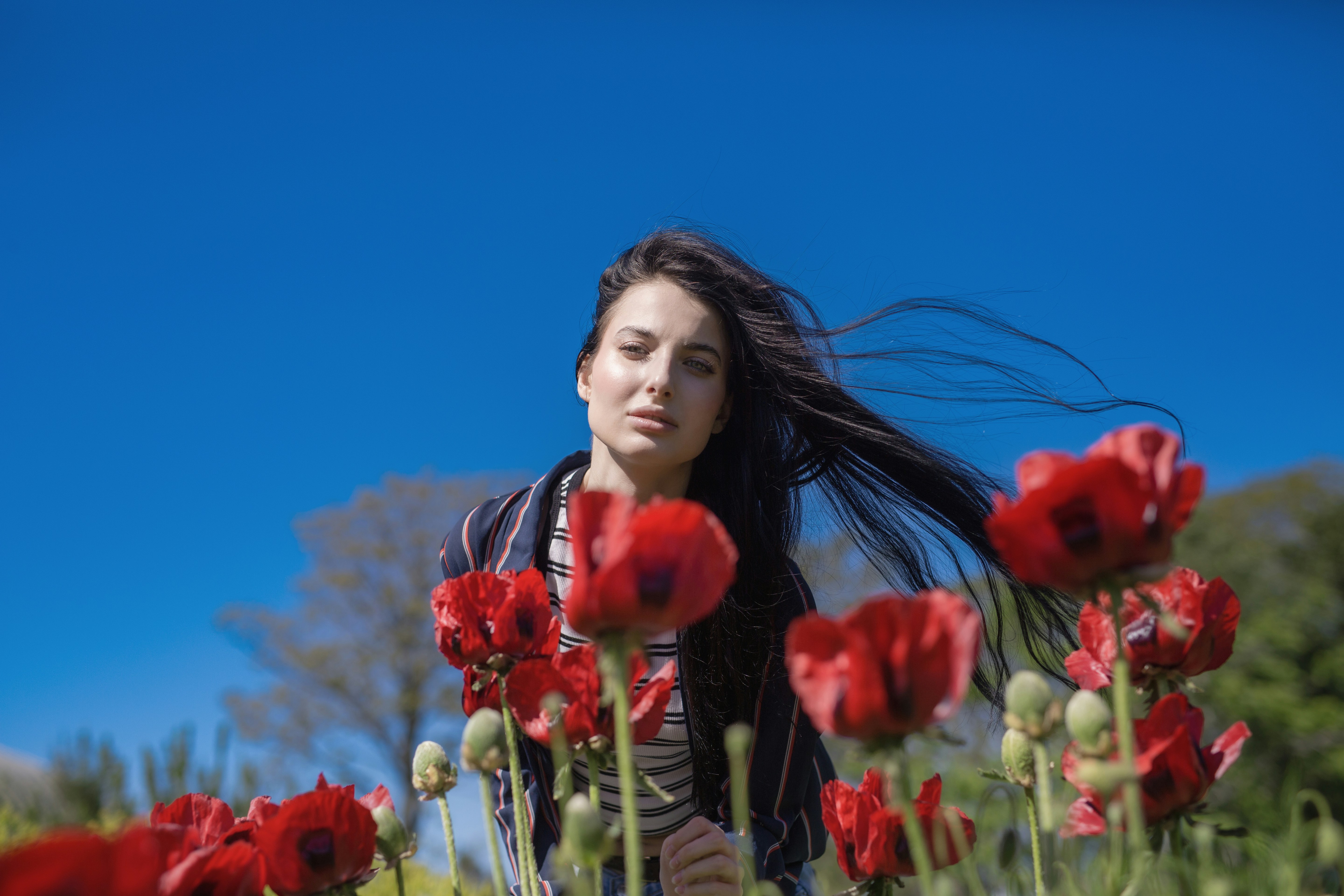 Blossoms in Focus: A Portrait Amid Crimson Poppies
