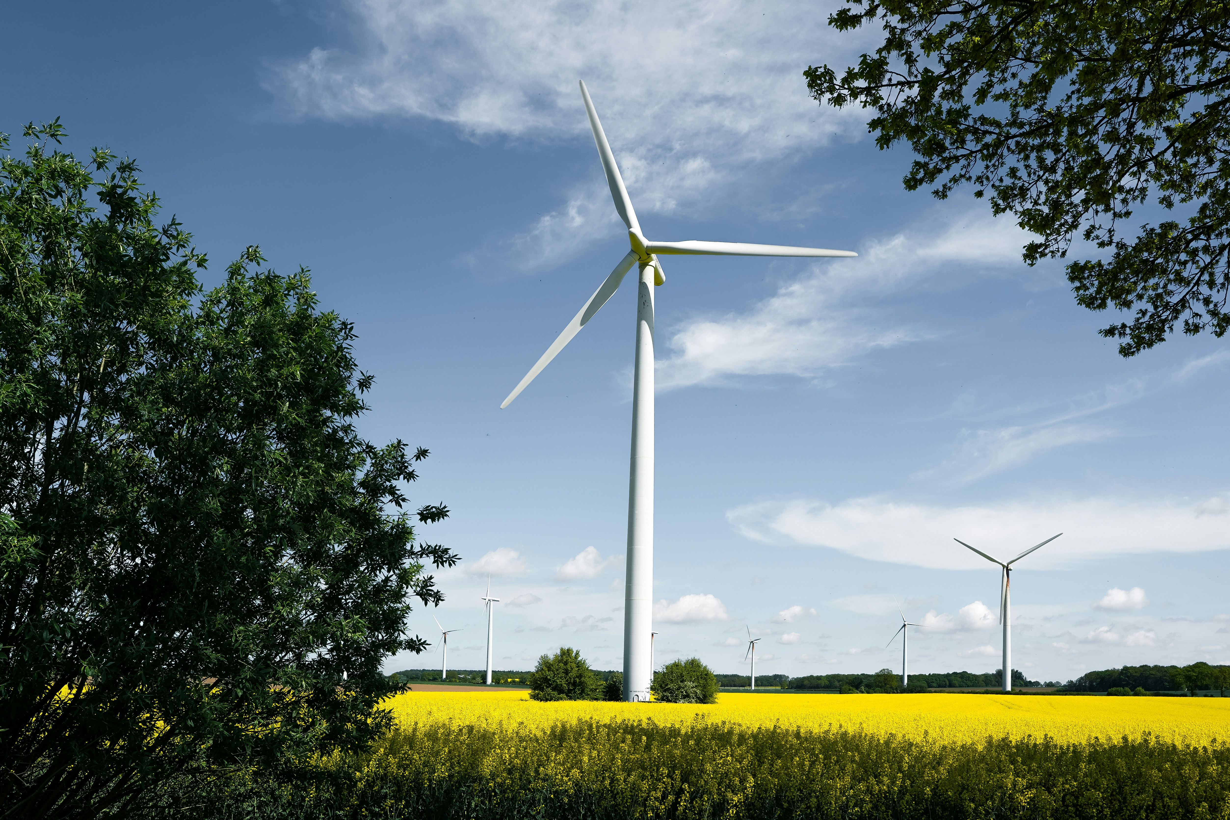 Whispering Giants: A Field of Wind Turbines Under Open Skies