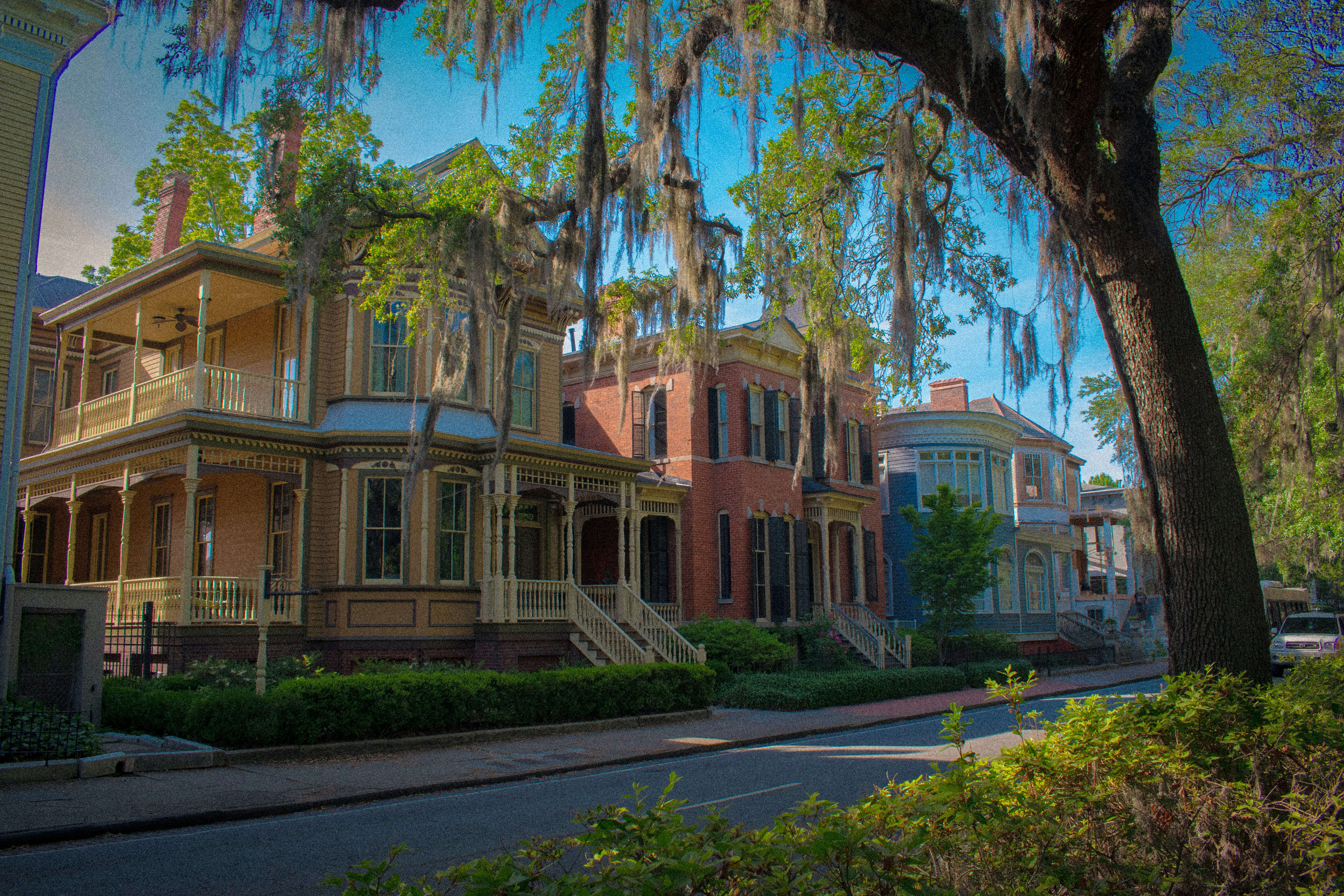 Sunlit Historic Row of Homes Framed by Dangling Moss and a Canopy of Trees