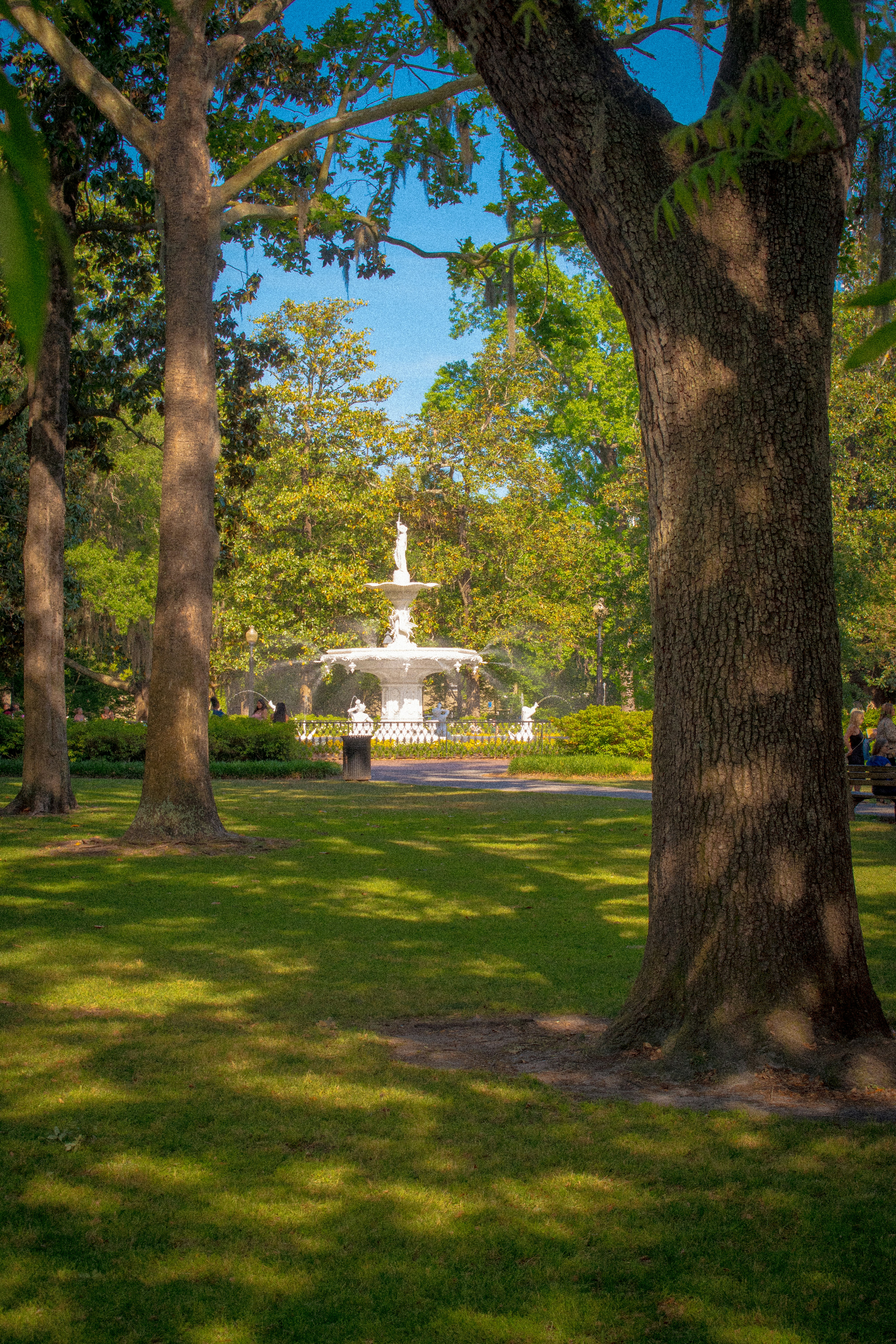 Central Fountain Framed by Majestic Trees