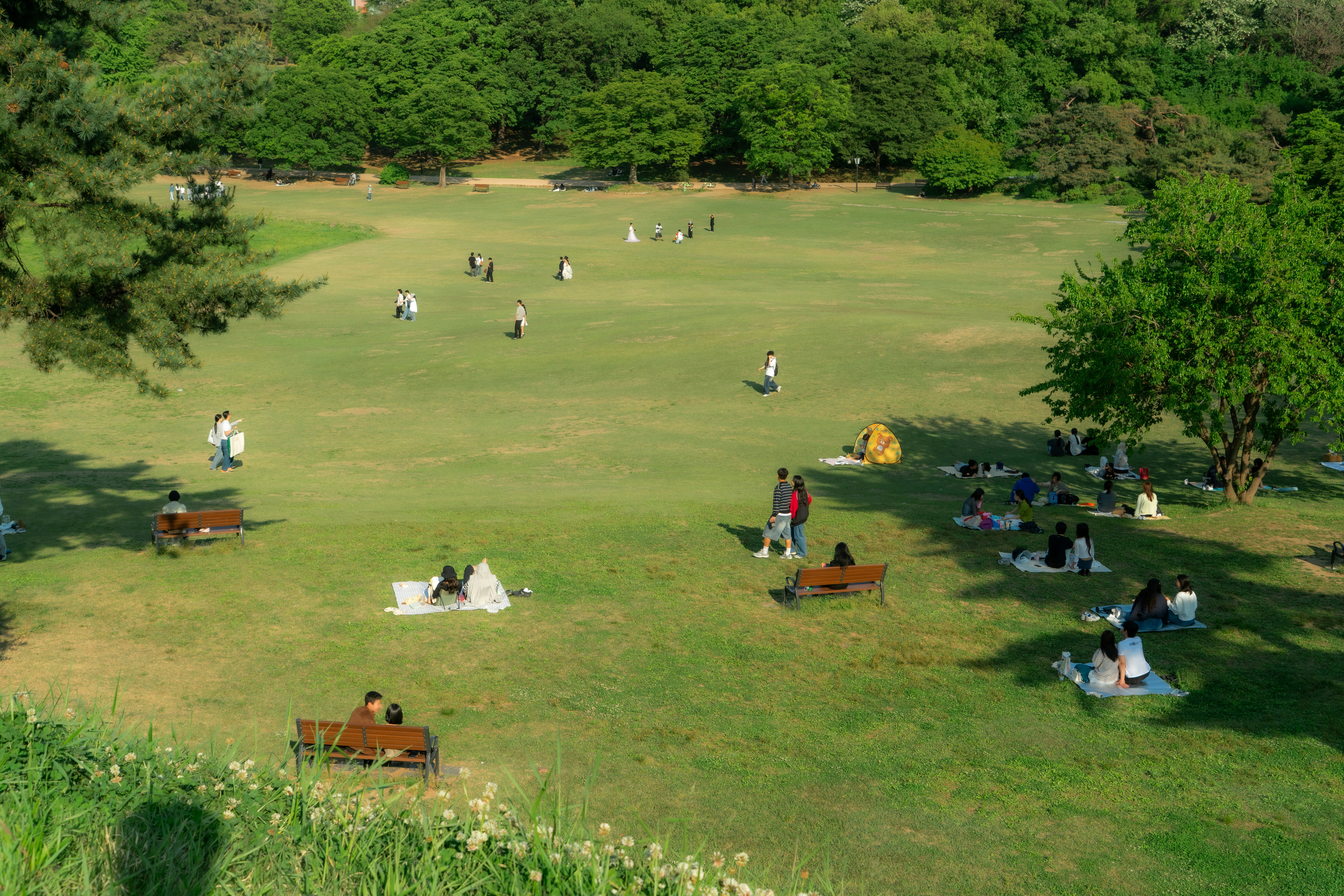 Pastoral Social: A Sunlit Picnic in the City Park