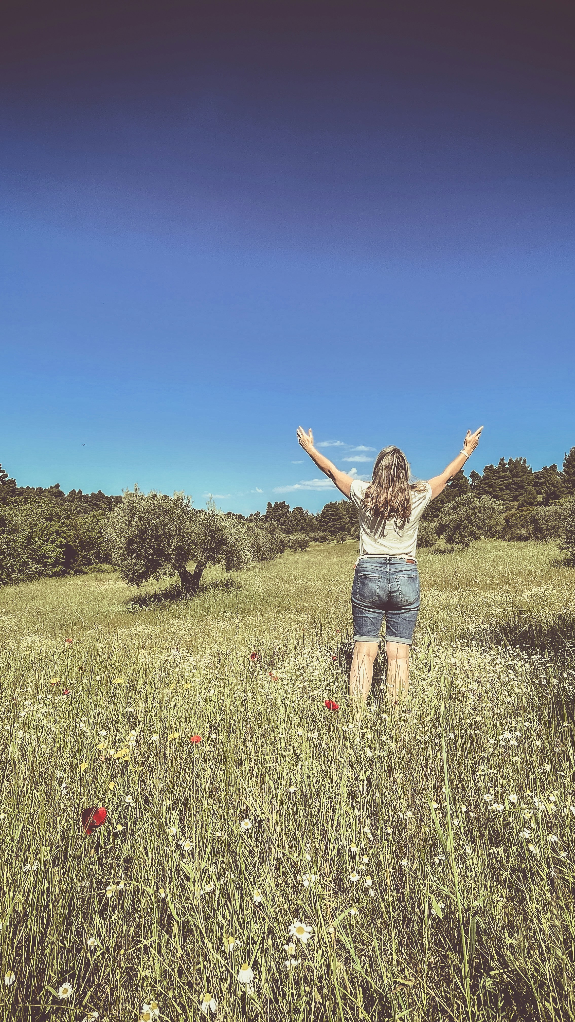 Field of Freedom: A Woman Raising Hands Under Open Sky
