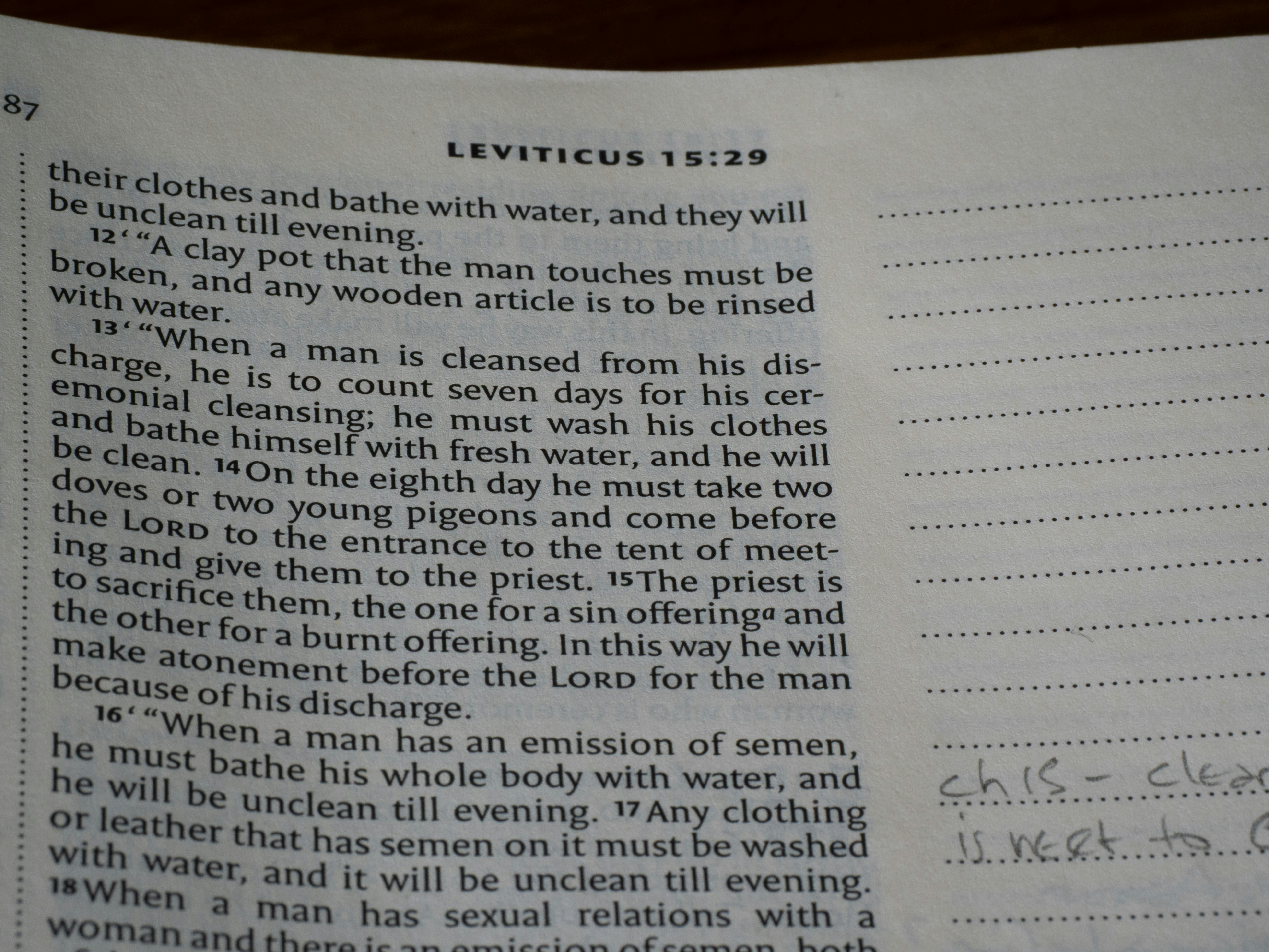 Scripture Scrolls and Soft Light: A Quiet Biblical Page