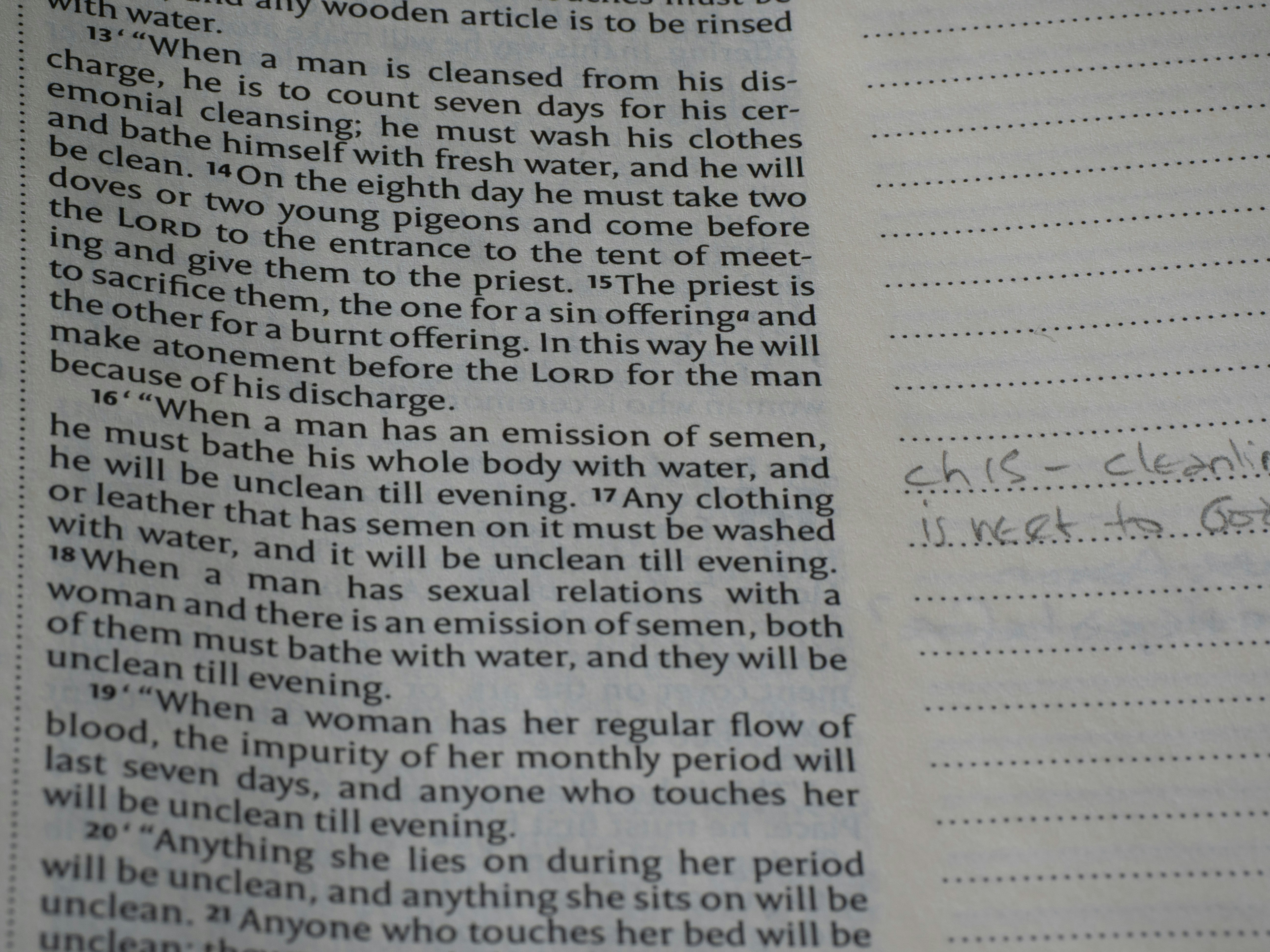 Hidden Pages: A Glimpse of Scribbled Notes Next to Faint Script