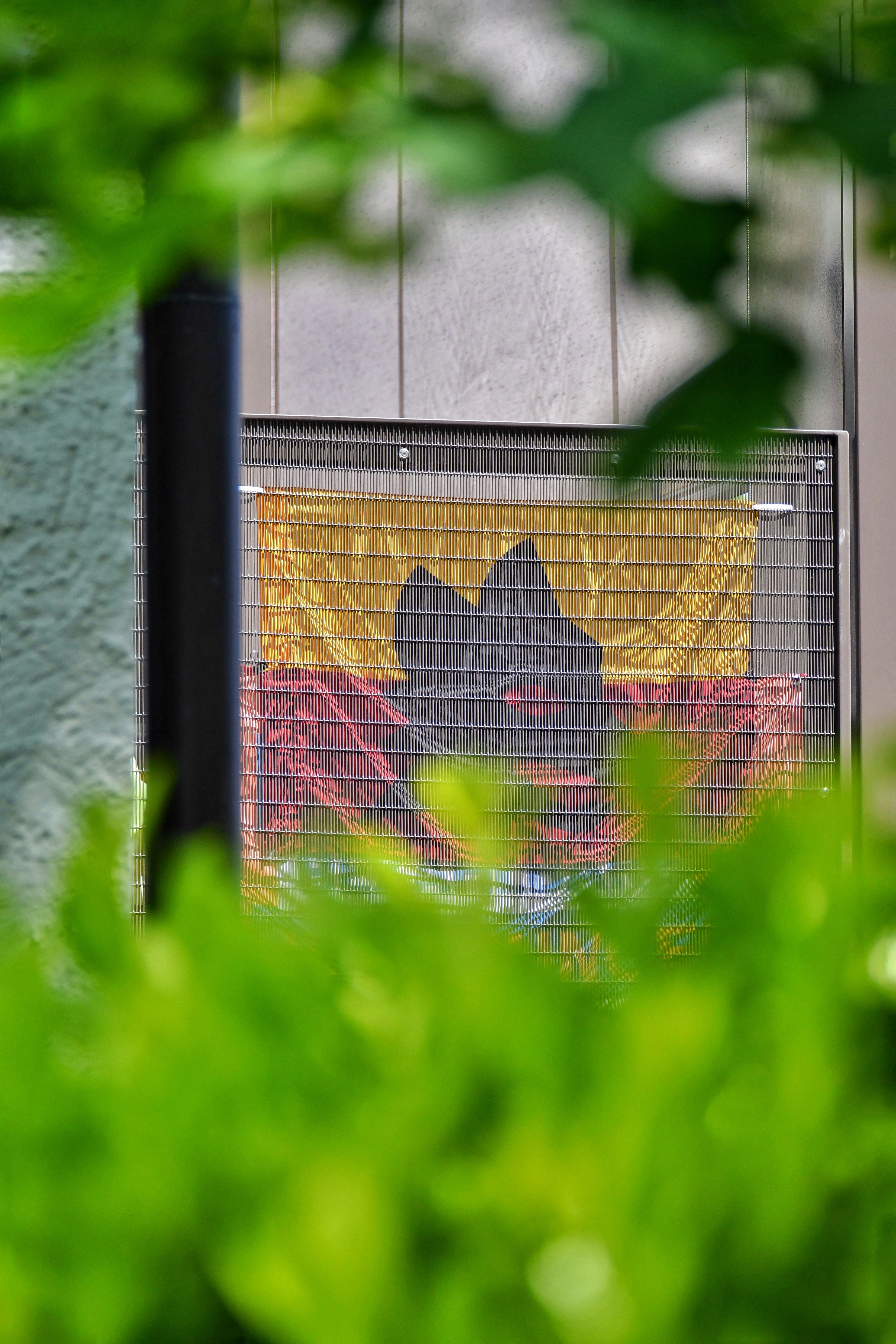 Hidden Message Through the Fence: A Neon Emblem Framed by Greenery