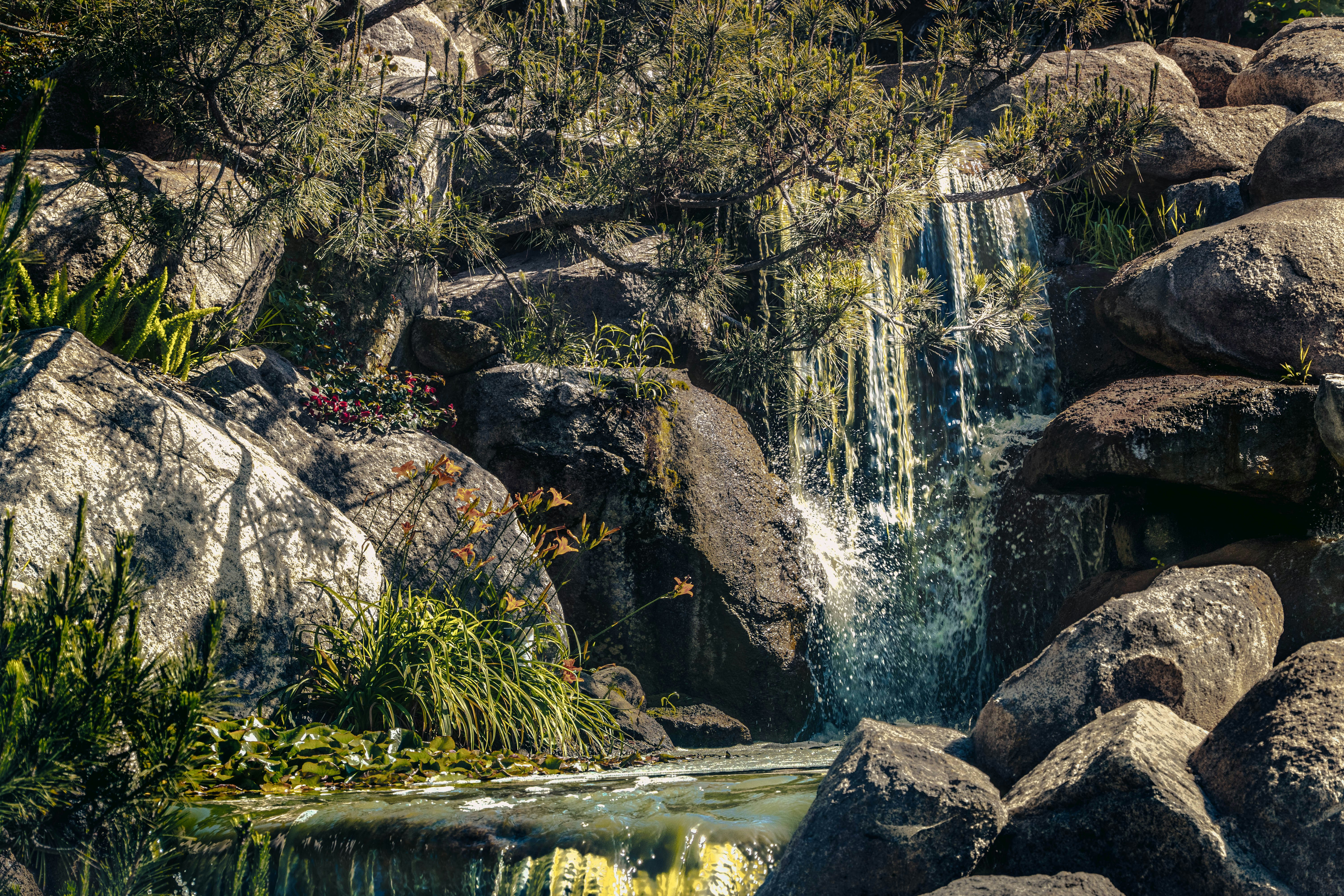 Sunlit Cascade Quietly Among Stone and Ferns
