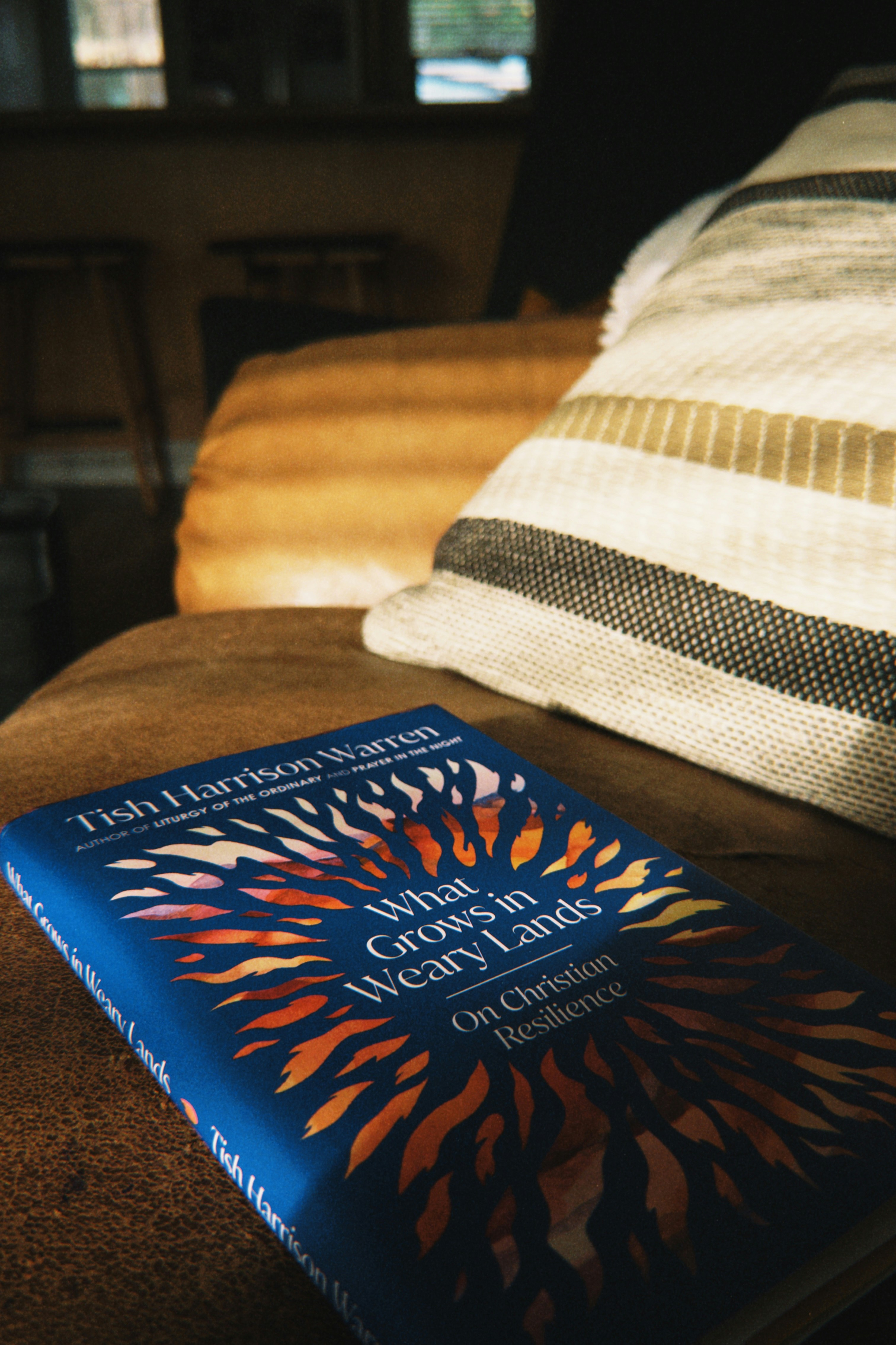 Blue Book on a Leather Couch: Quiet Moment of Reading