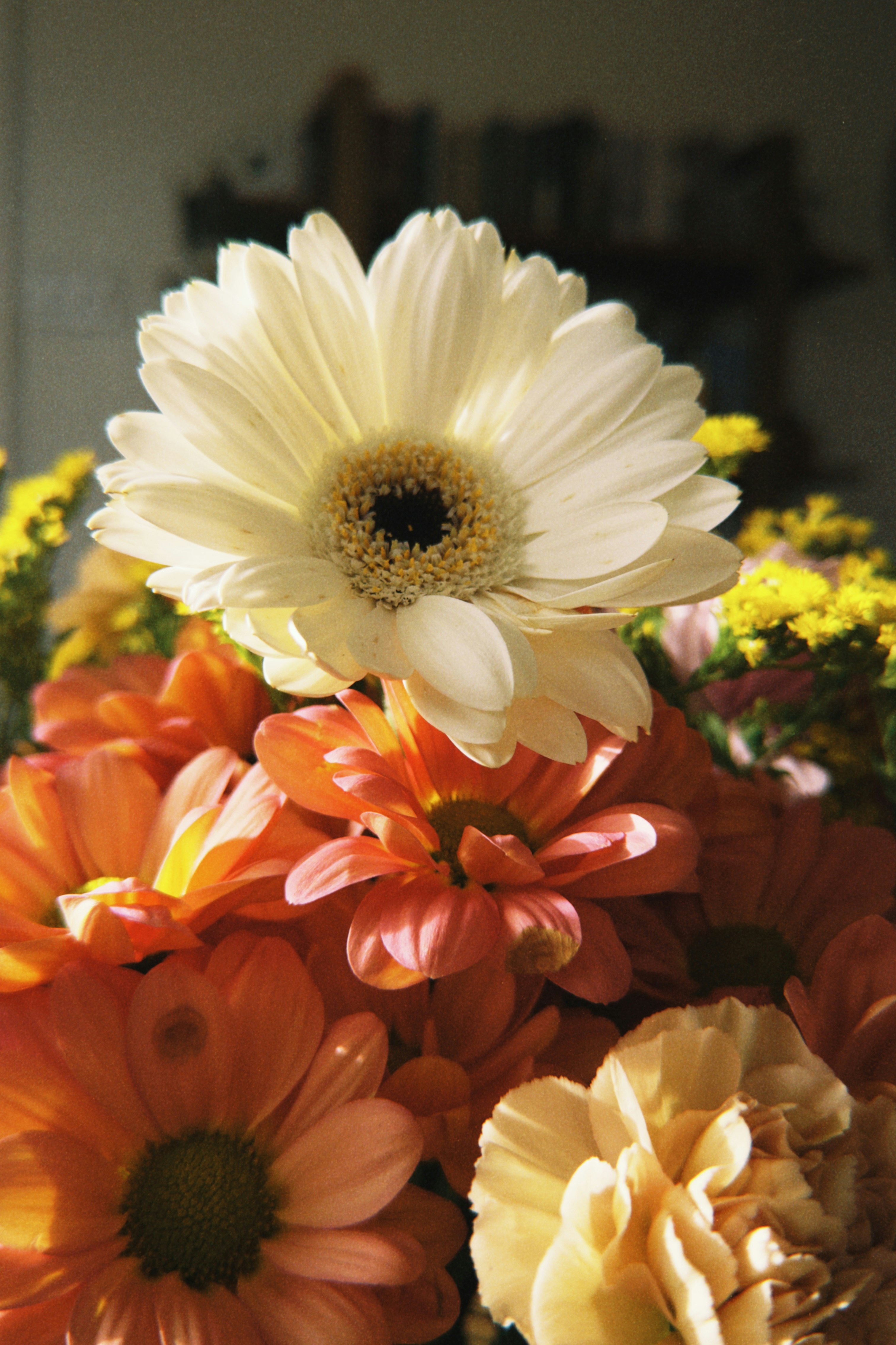 White daisy crown over a bouquet of warm-hued blooms
