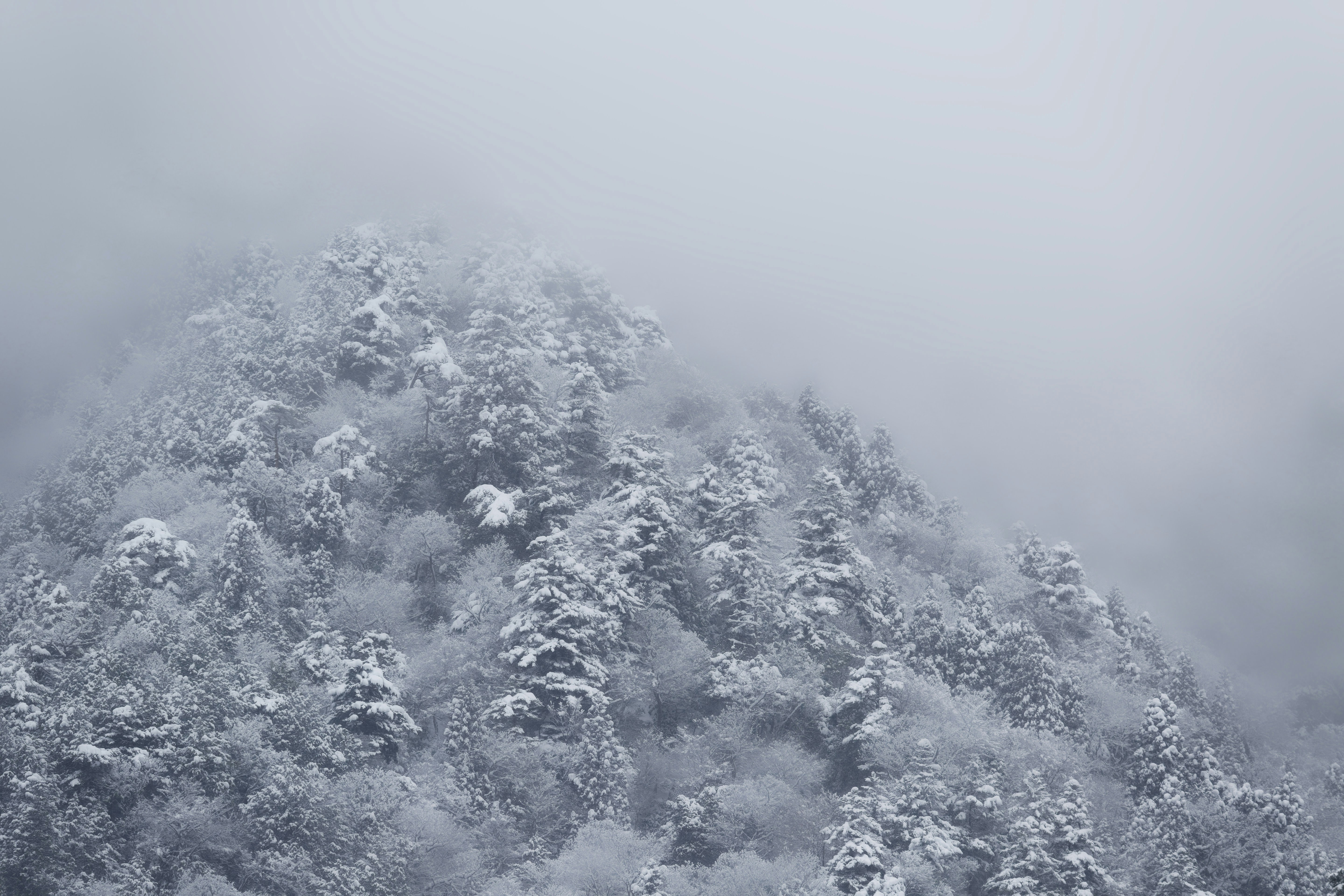 Mist Enshrouded Crest: Snow-Claified Ridge Under Quiet Skies
