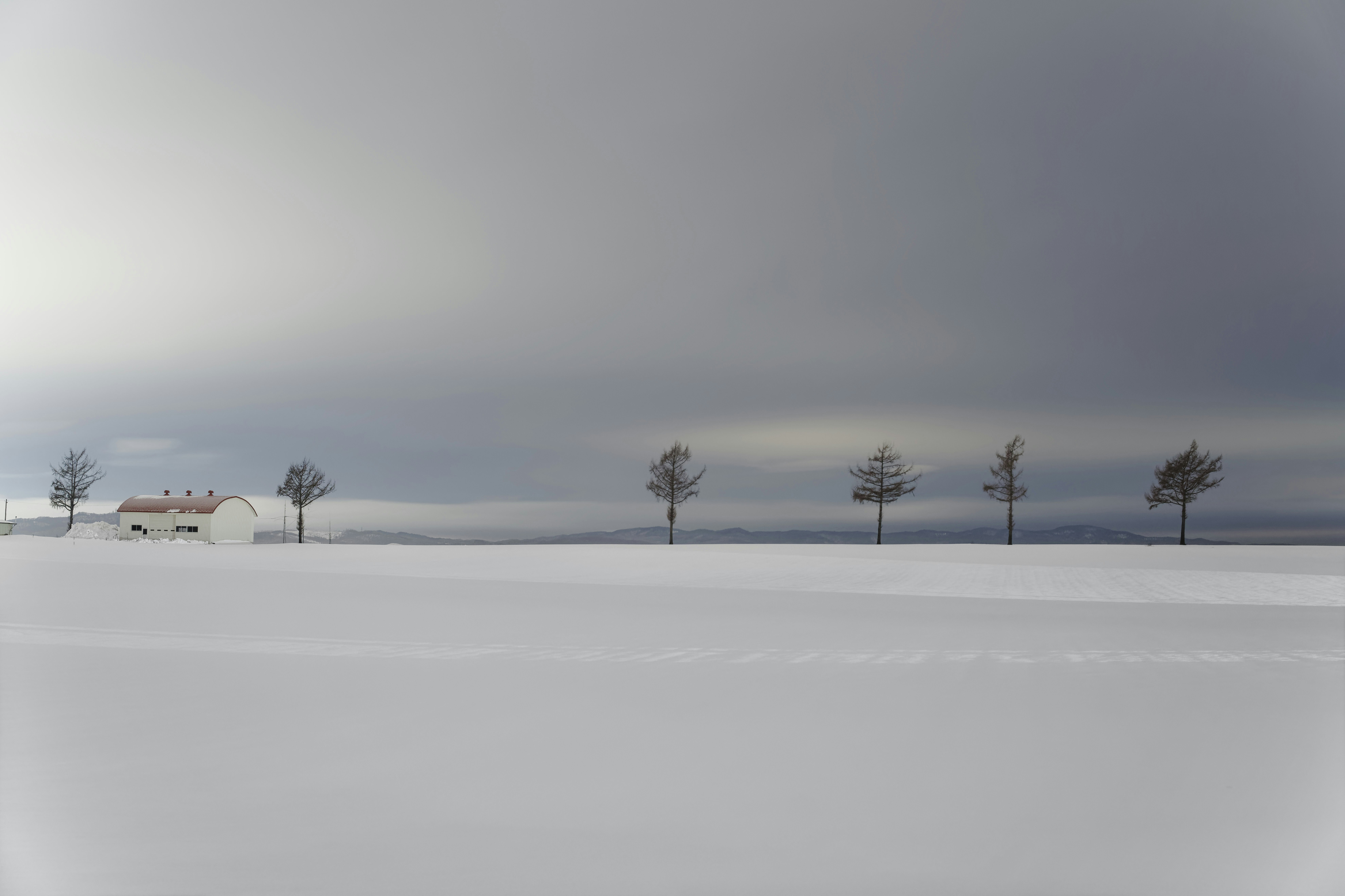 Winter Homestead on a Quiet Horizon