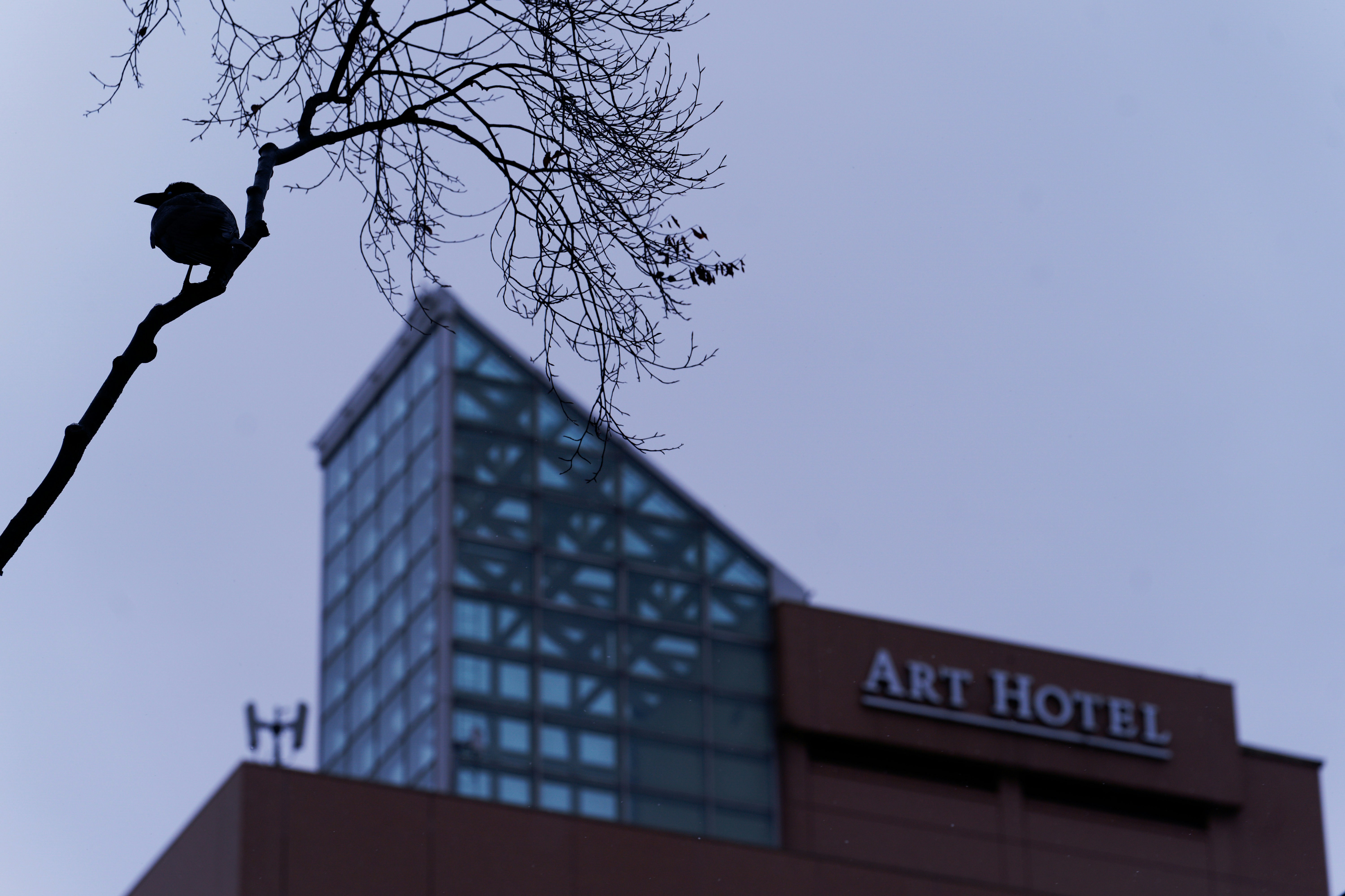 Fractured Streetlight Over the Art Hotel