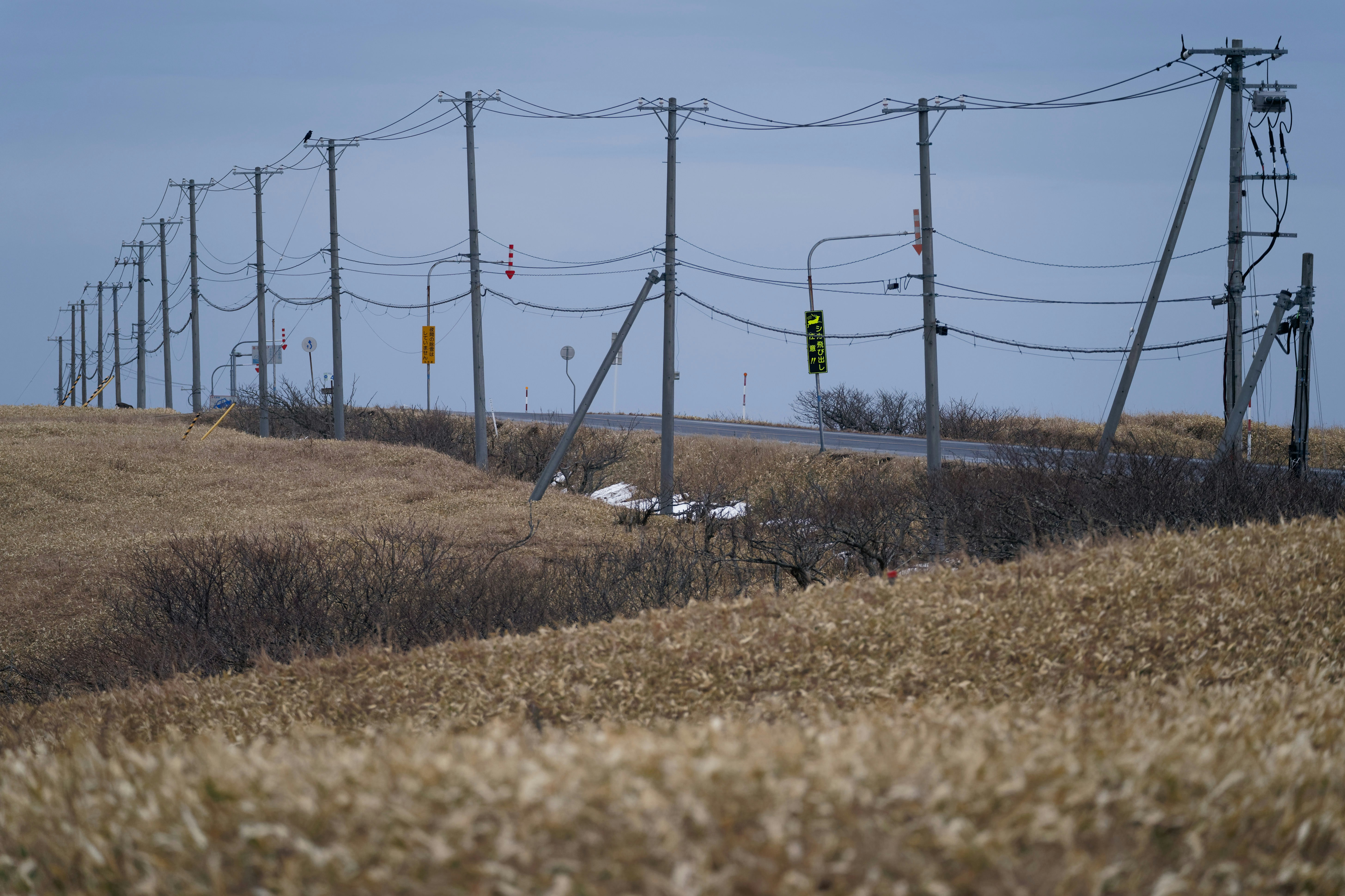 Power Lines Across Prairie: A Quiet Trek through Tilted Poles and Distant Signals
