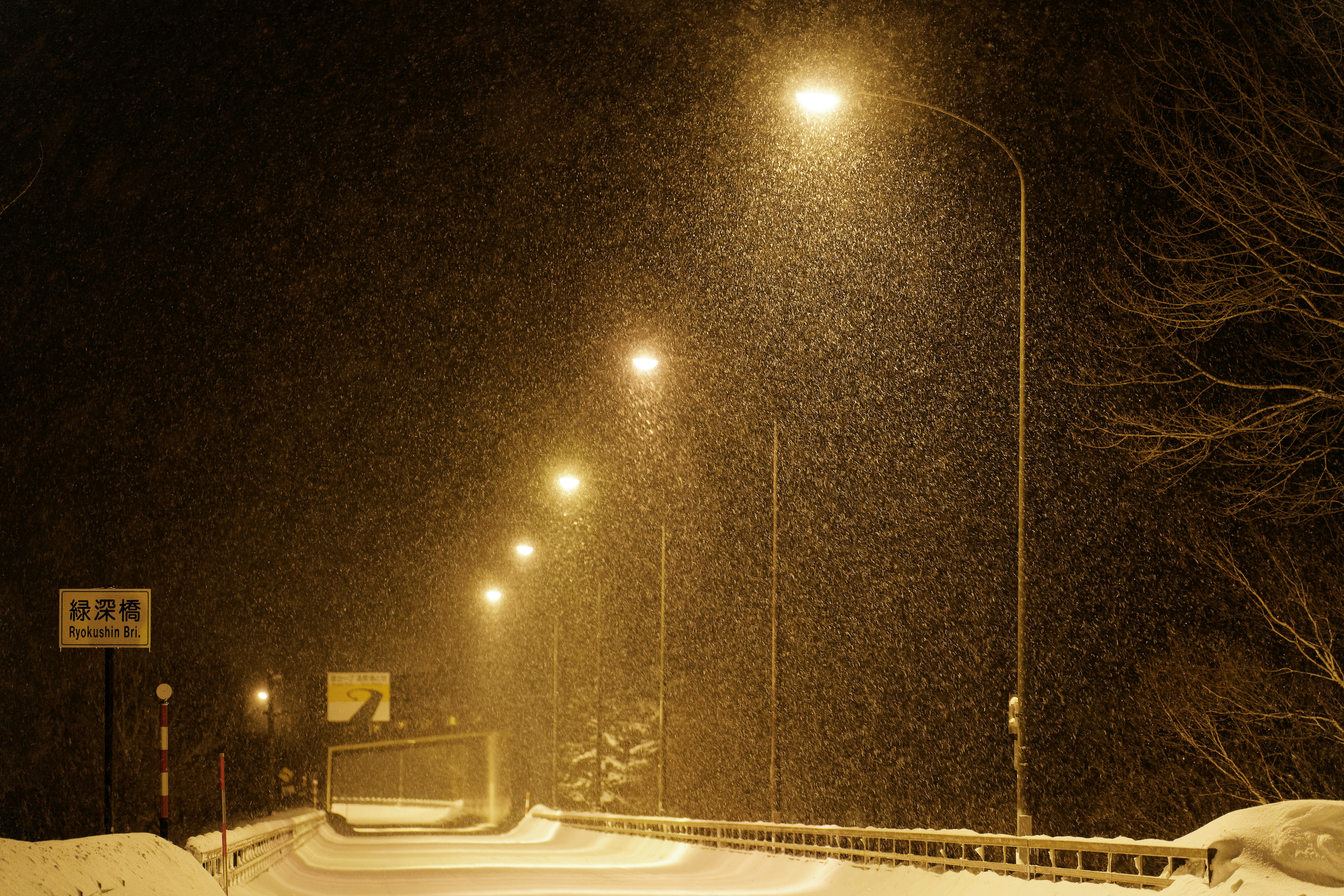 Snowfall Under Streetlights: A Quiet Night Corridor