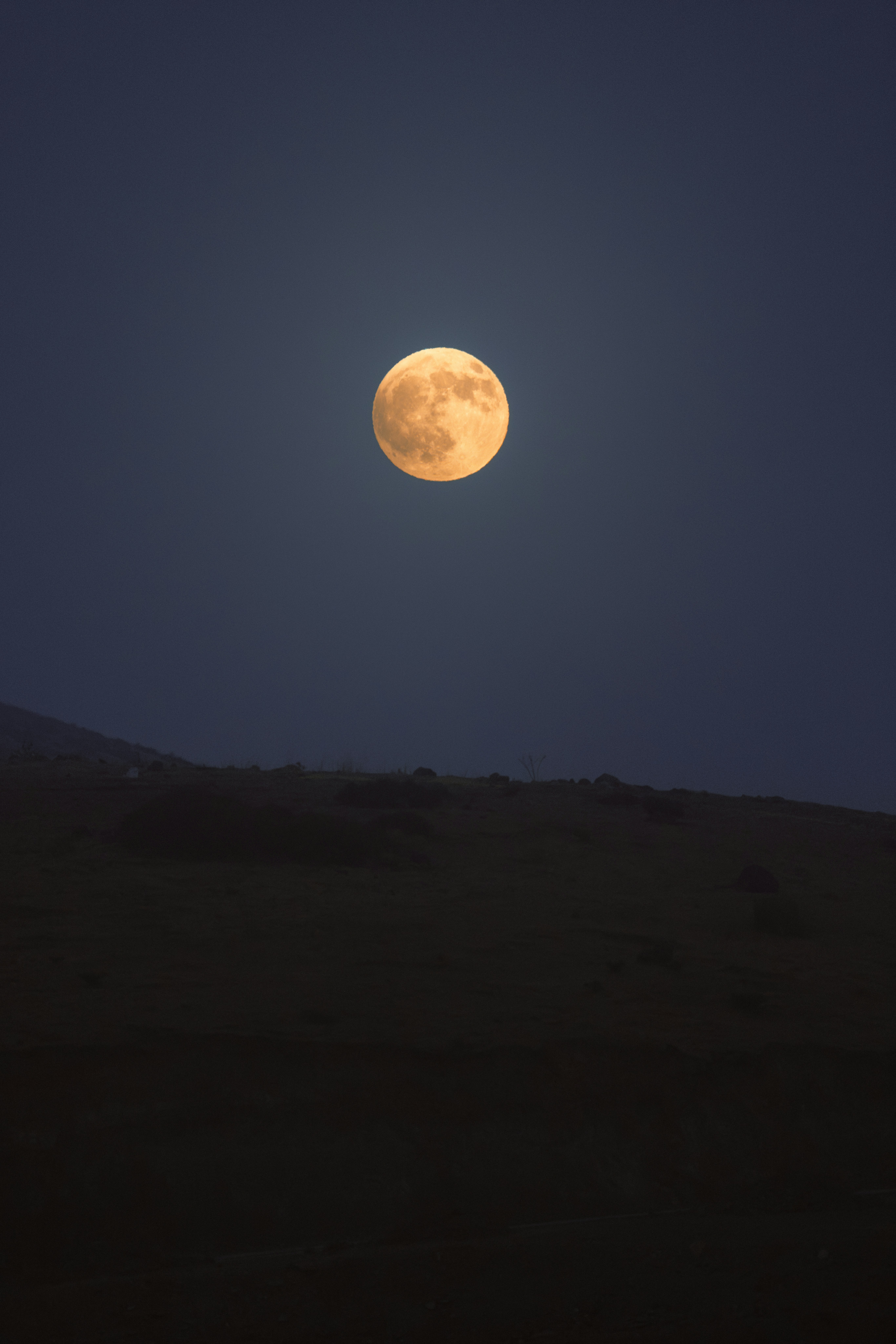 Moonlit Dune: A Golden Moon Over Quiet Sands