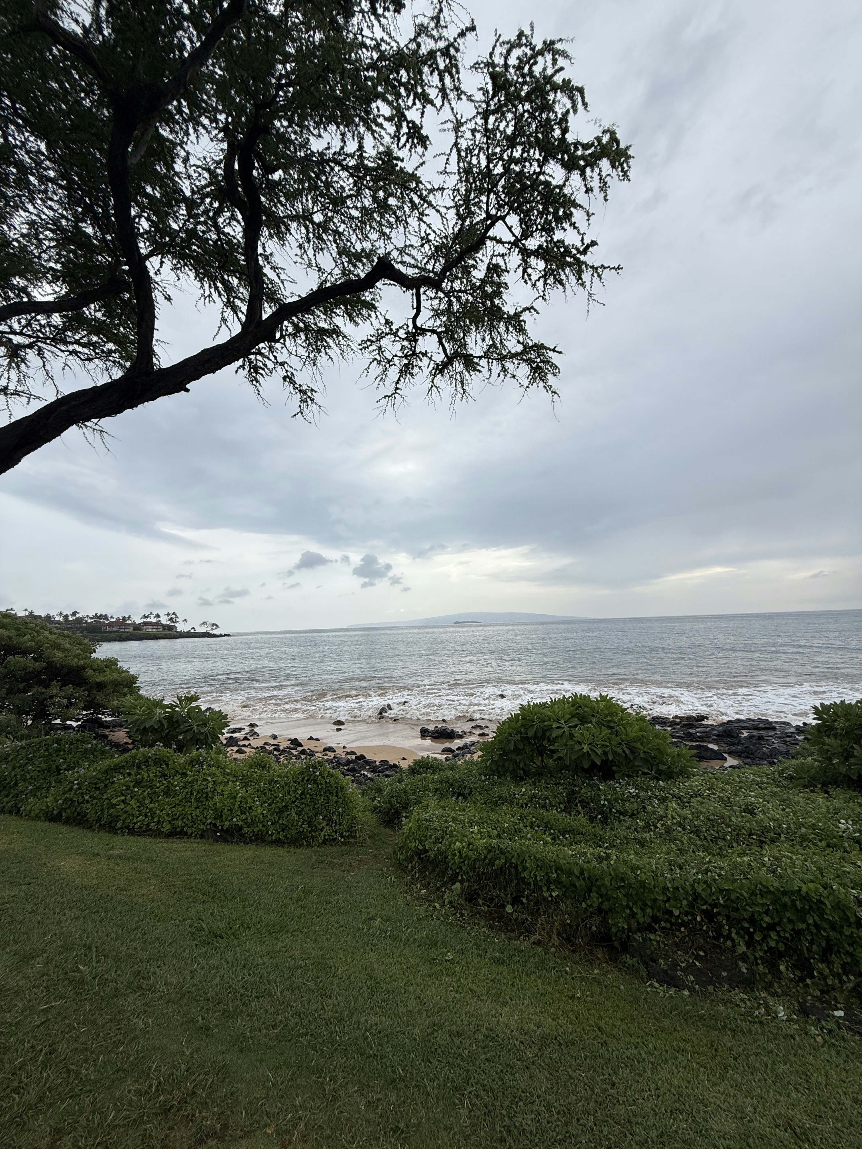 Coastal View from a Shaded Lawn