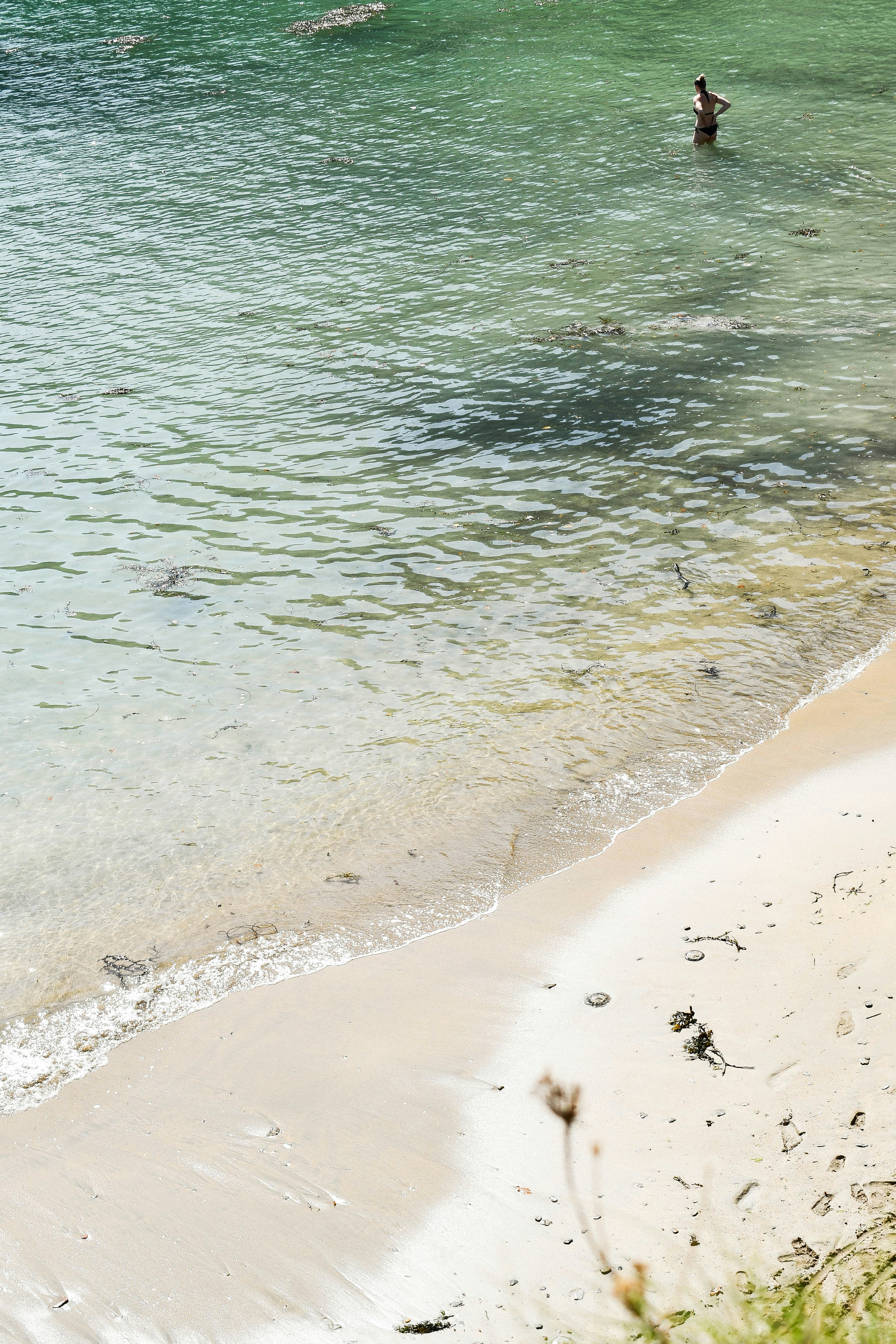 Solitary swimmer at a turquoise shoreline