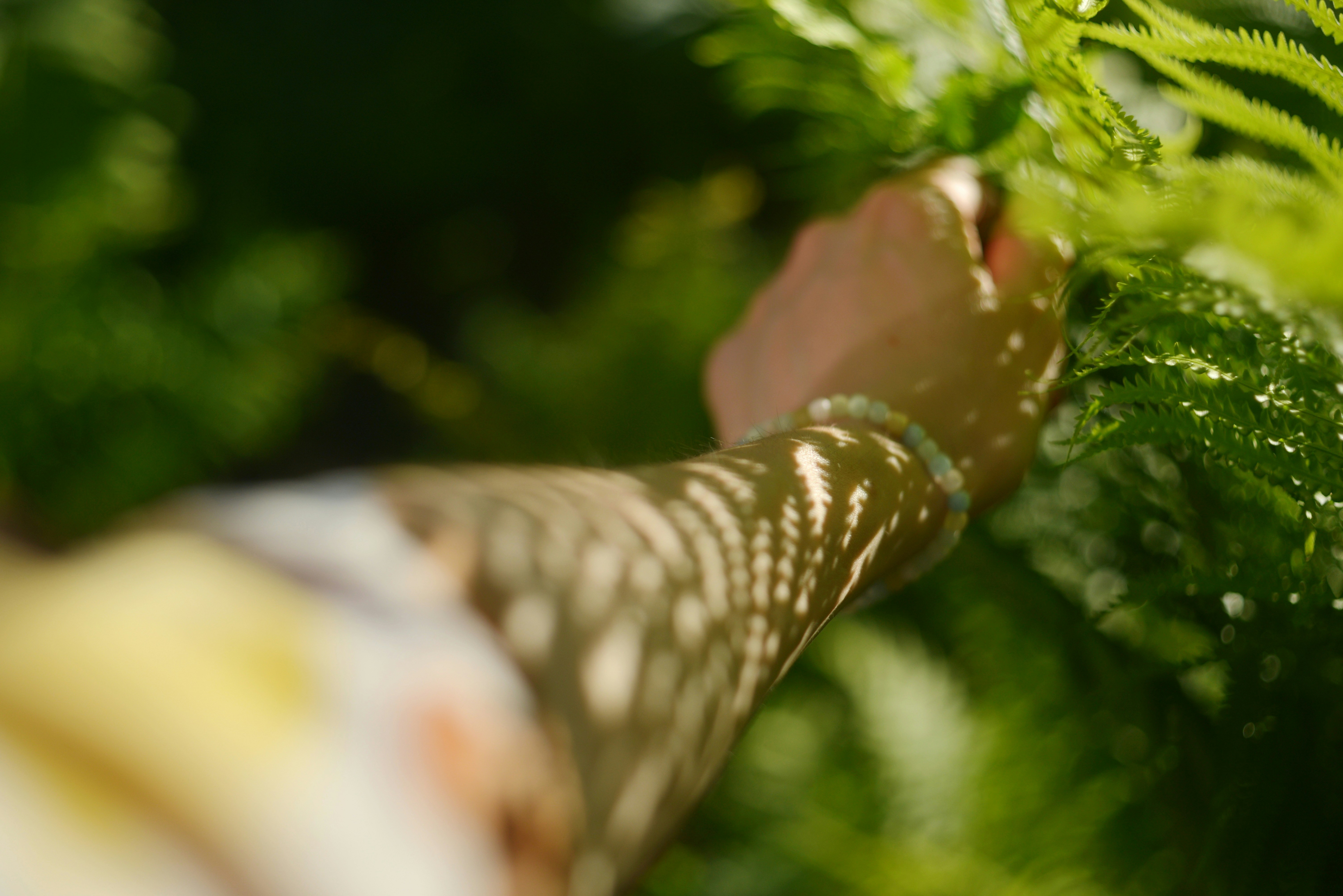 Outstretched Hand Reaching Through Ferns