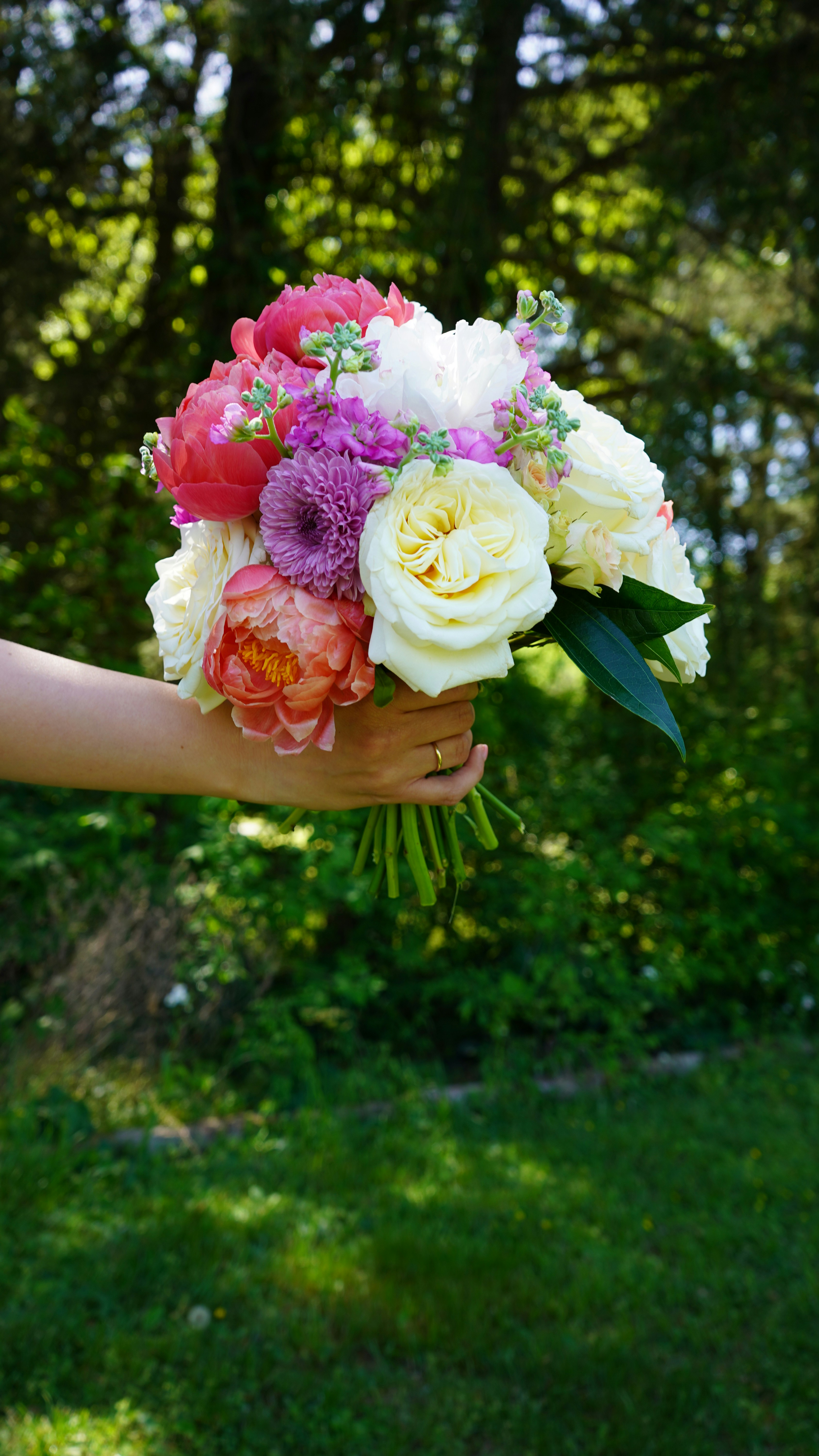 Bouquet of Summer: Handheld Blooms in a Sunlit Clearing