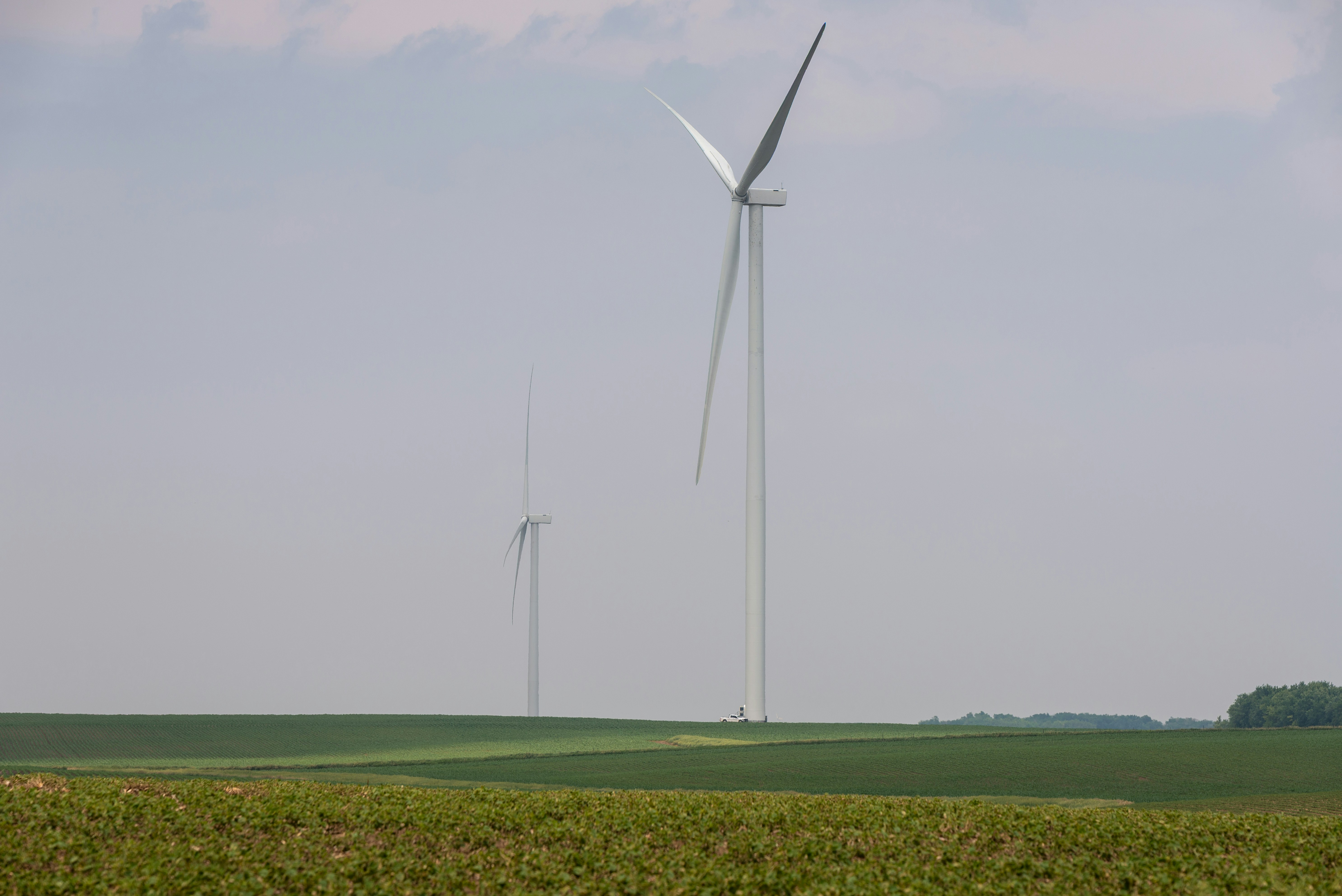 Quiet Giants on a Plain: Wind Turbines Between Fields