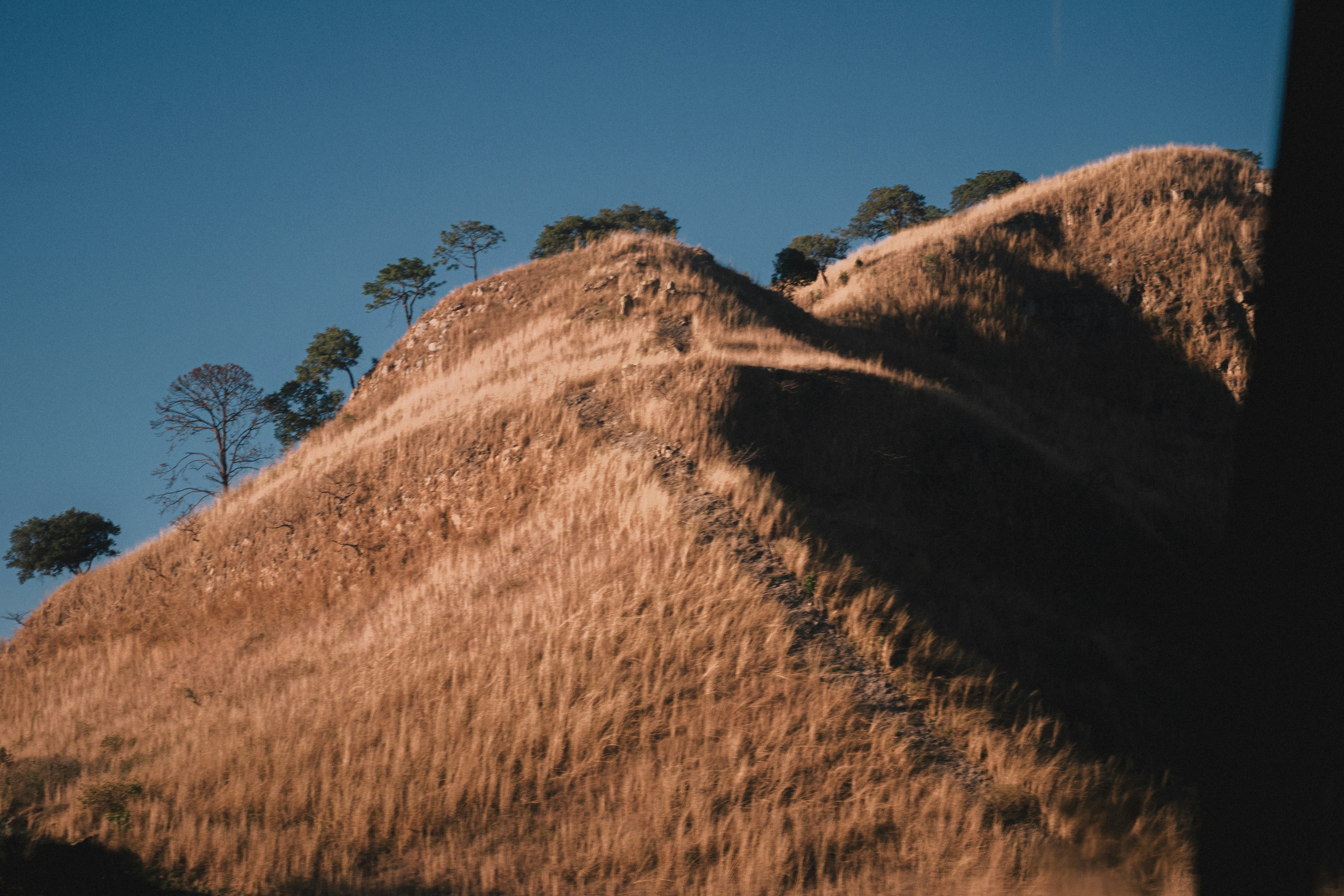Sunlit Ridge: A Quiet Ascent Under a Clear Blue Sky