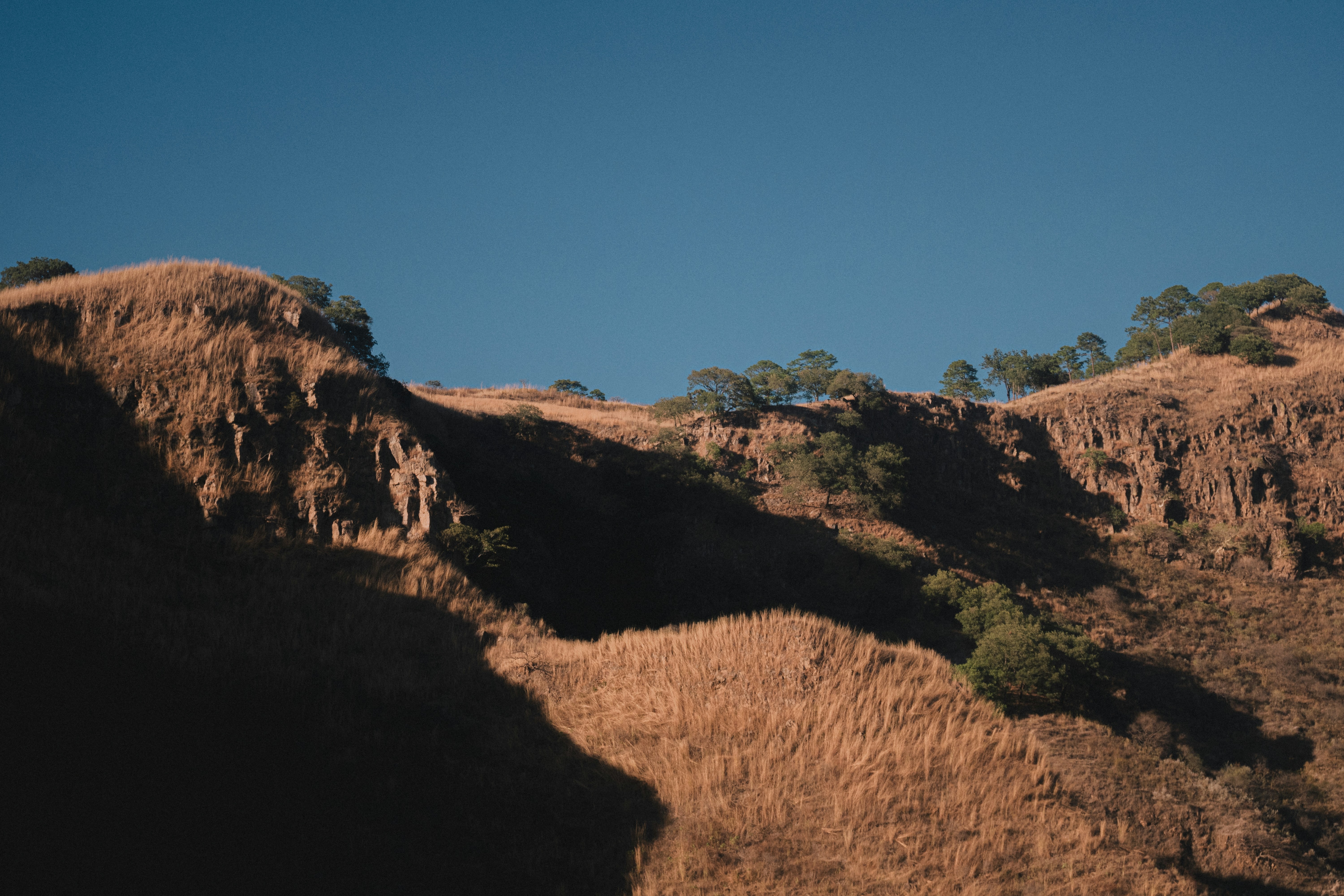 Sunlit Hills: A Quiet Stair of Golden Grass and Shadow