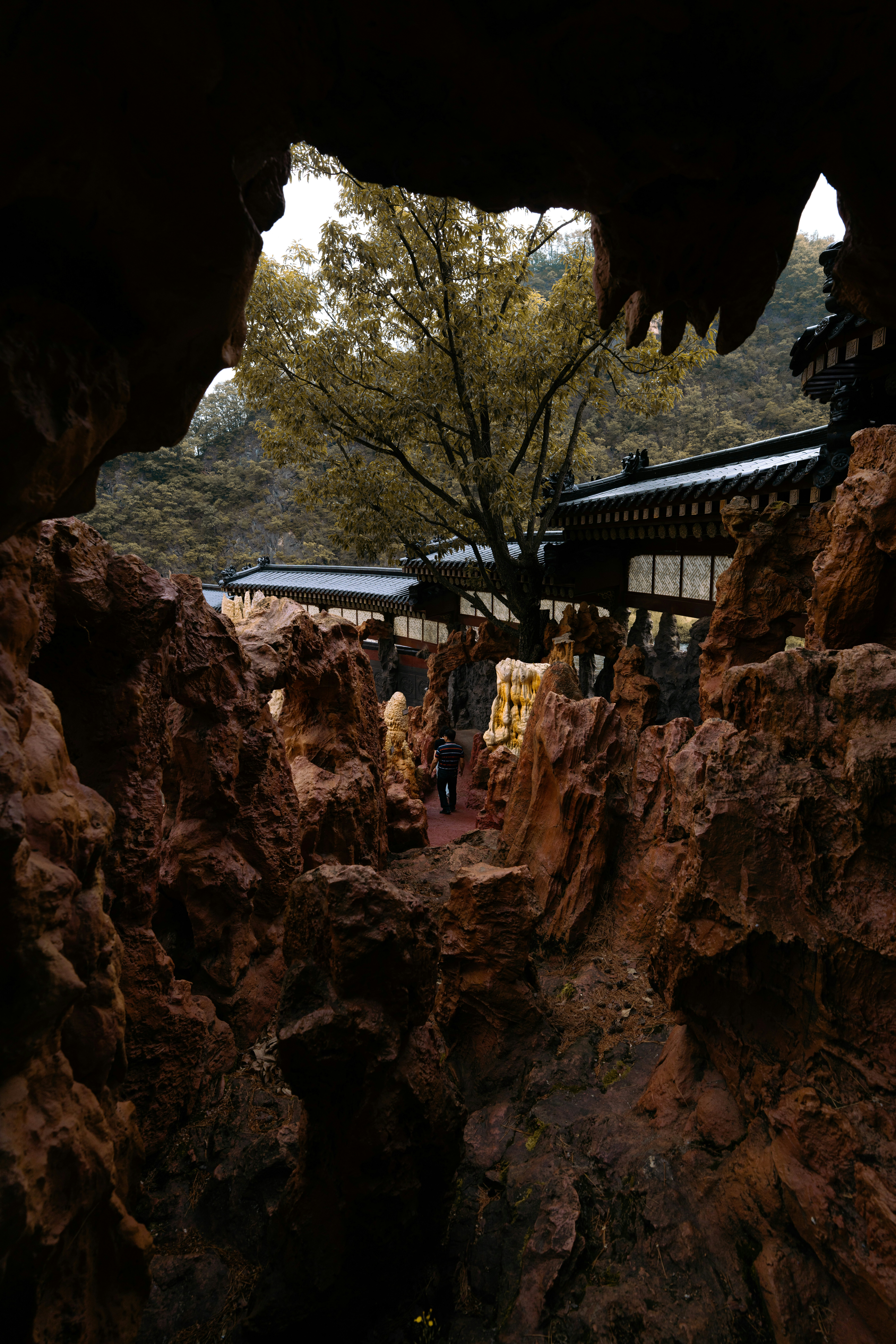 Through the Serrated Gate: A Lantern-Strewn Path Amid Red Rock Spires