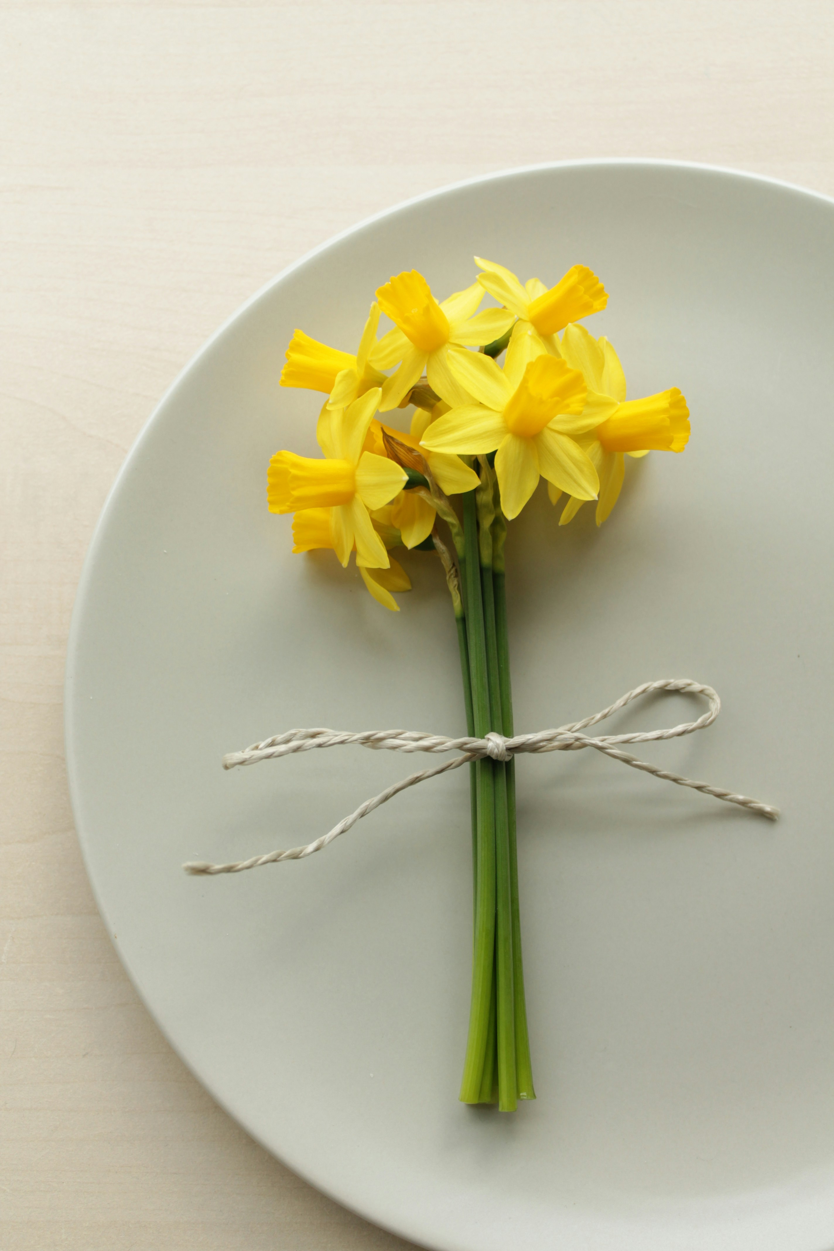 Yellow Daffodils Tied with String on a Minimalist Plate