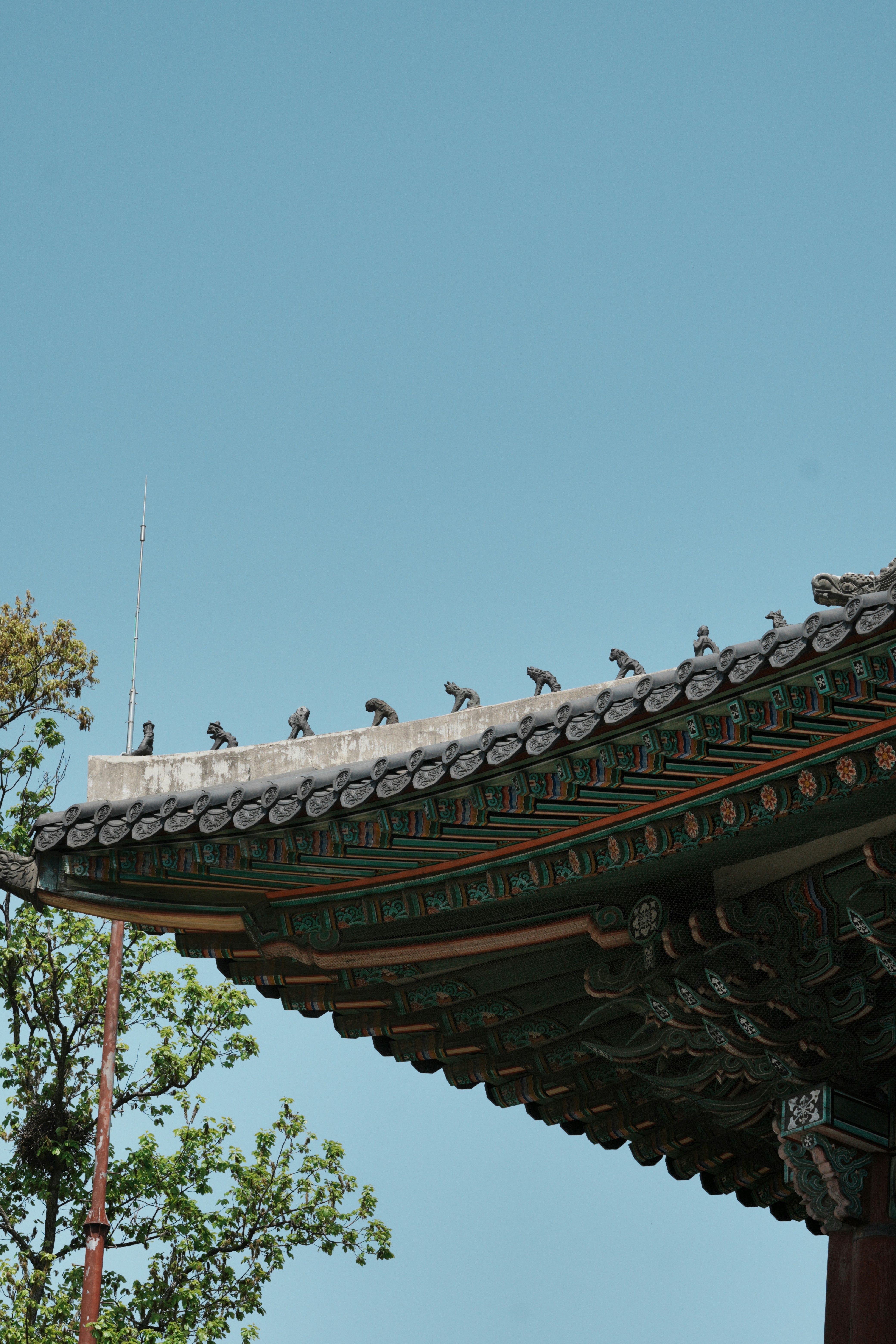Curved eaves in profile: a traditional roof under a clear sky