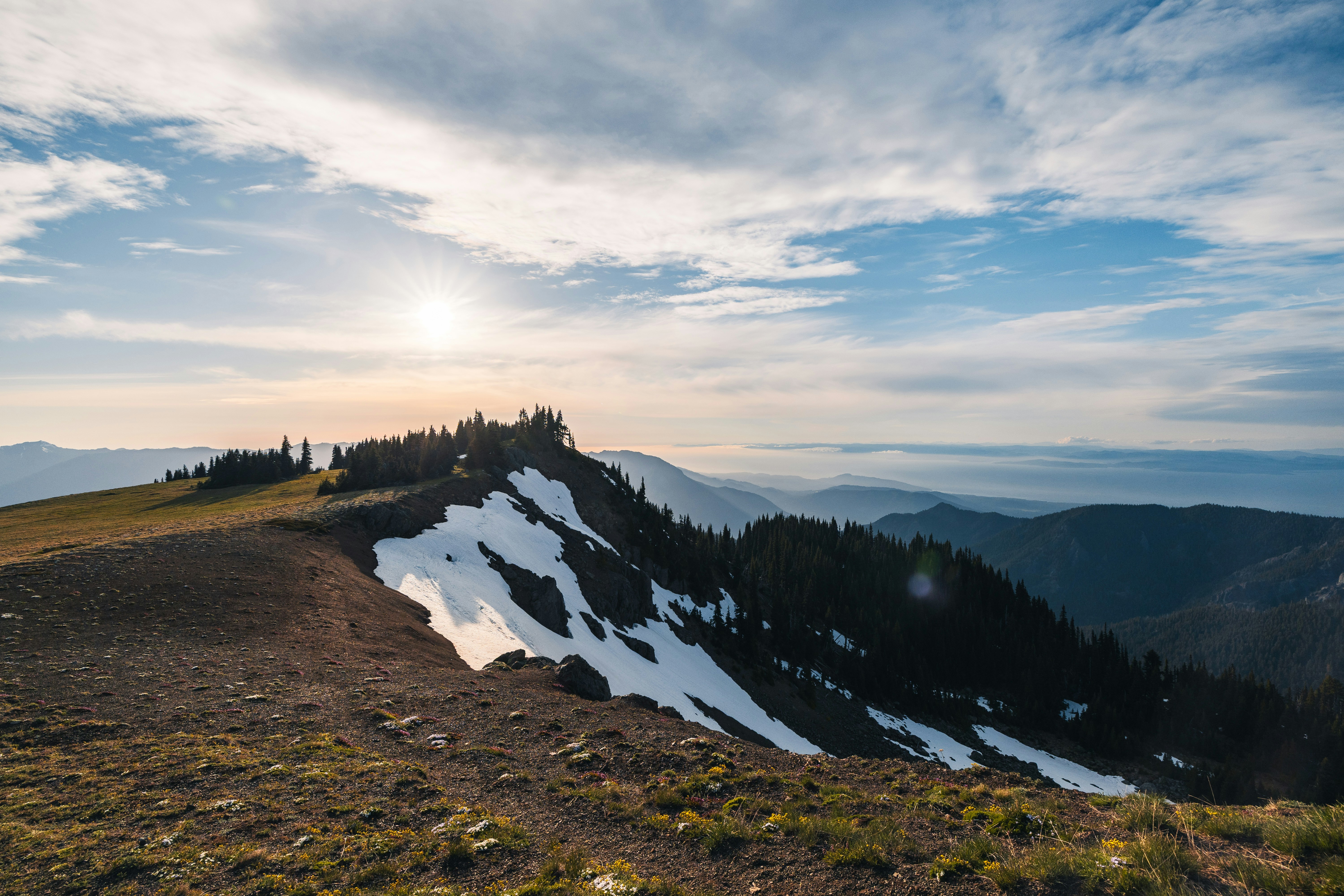 Sunlit Ridge: Snow Patches and Distant Pines Beneath an Open Sky