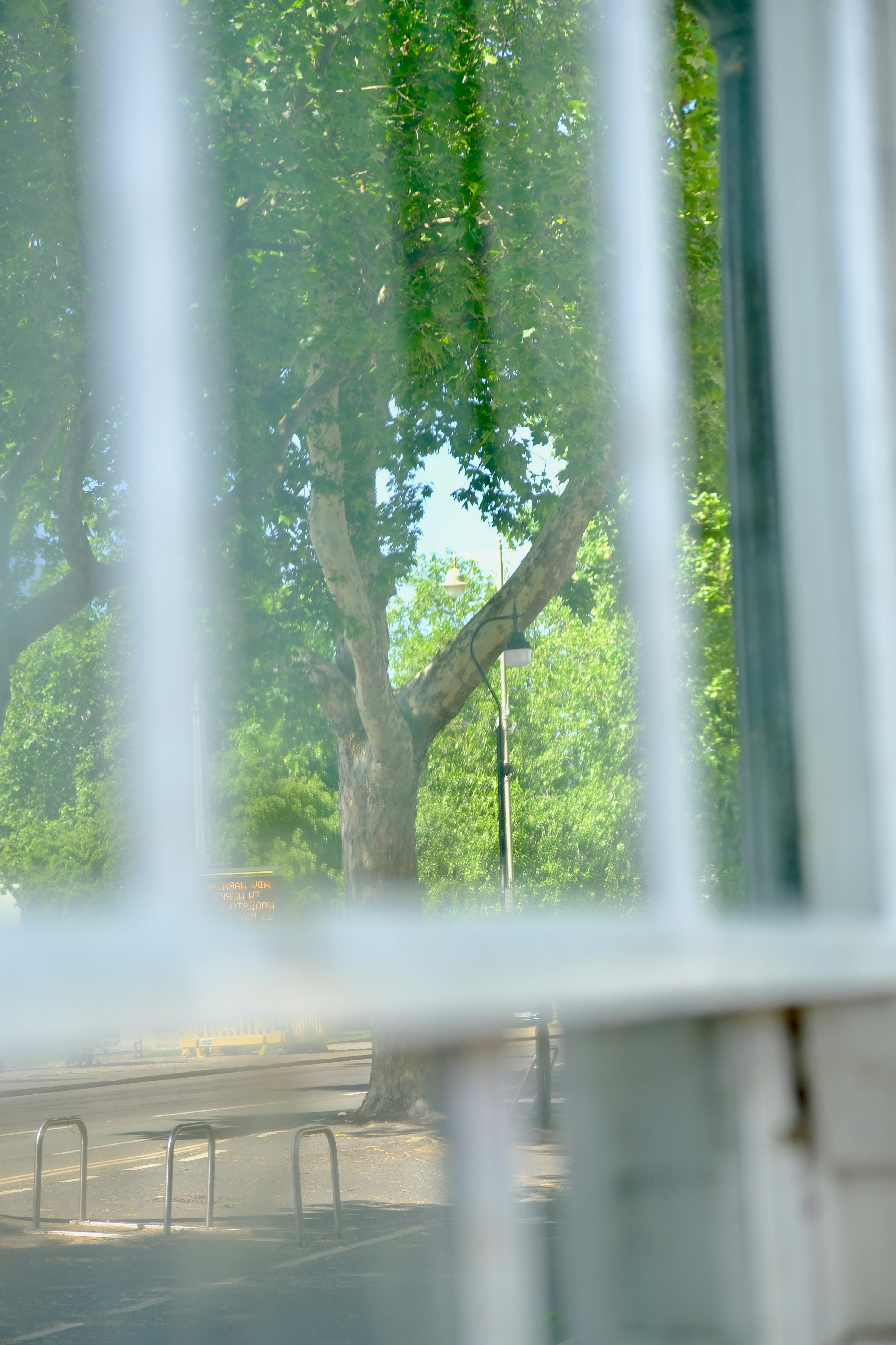 Through a Mist of Glass: Streetlamp and Trees Beyond a Faint Curtain