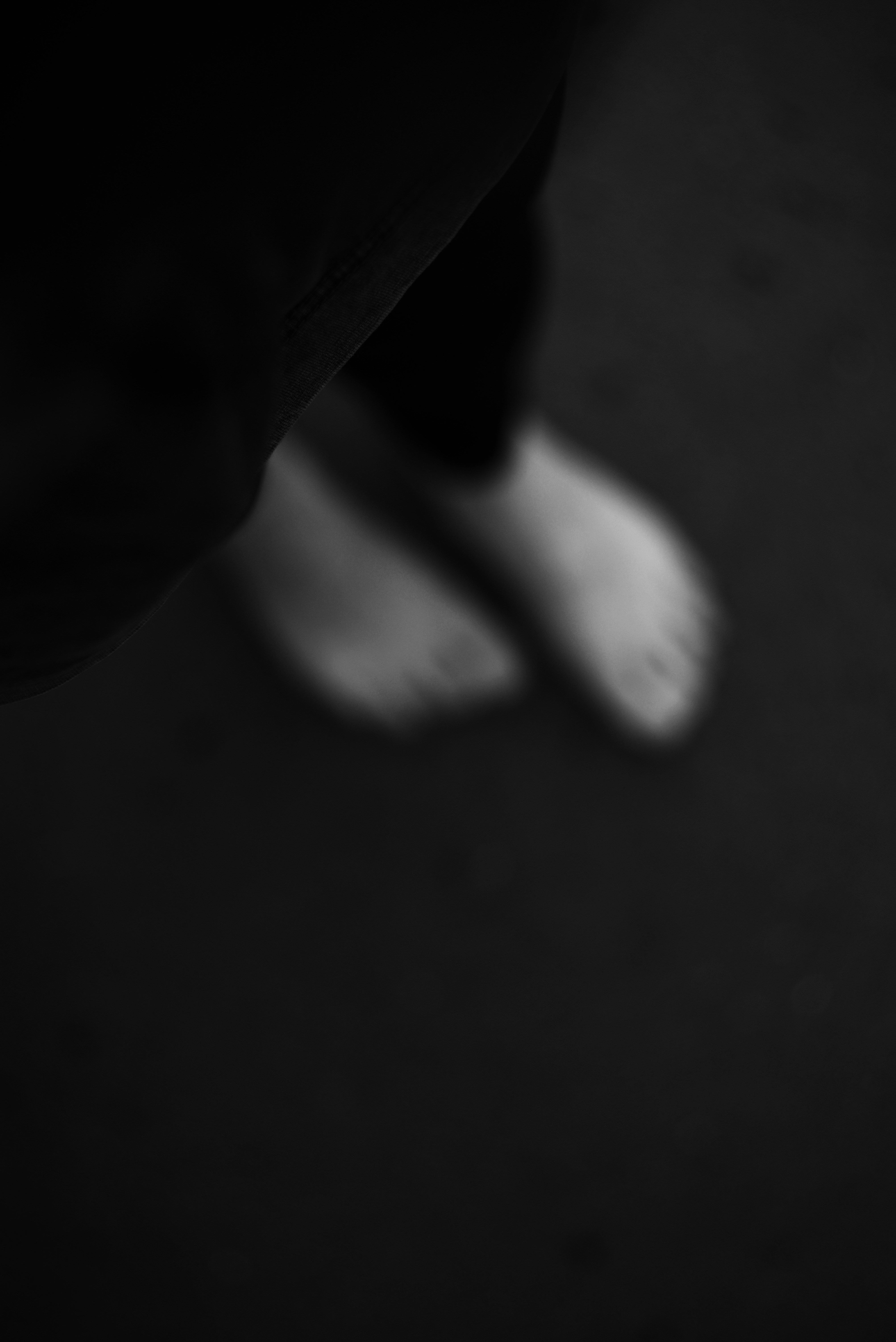 Soft Focus Steps: The Quiet Start of a Morning Parade
